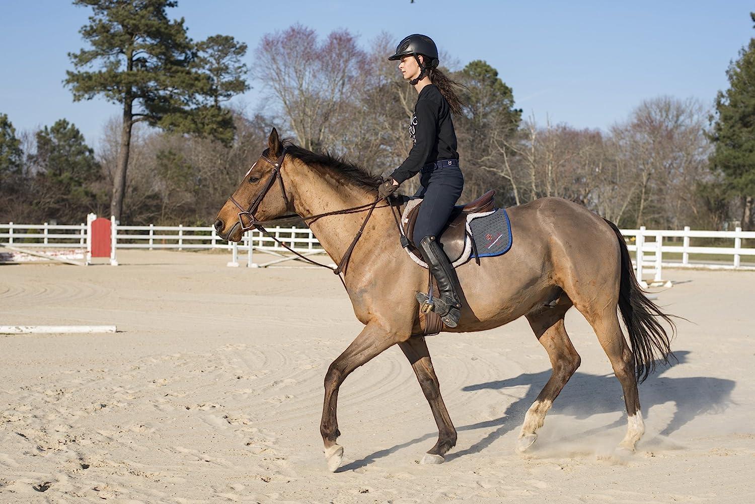 Intrepid International Equestrian Jump Bat - Premium Quality Riding ...