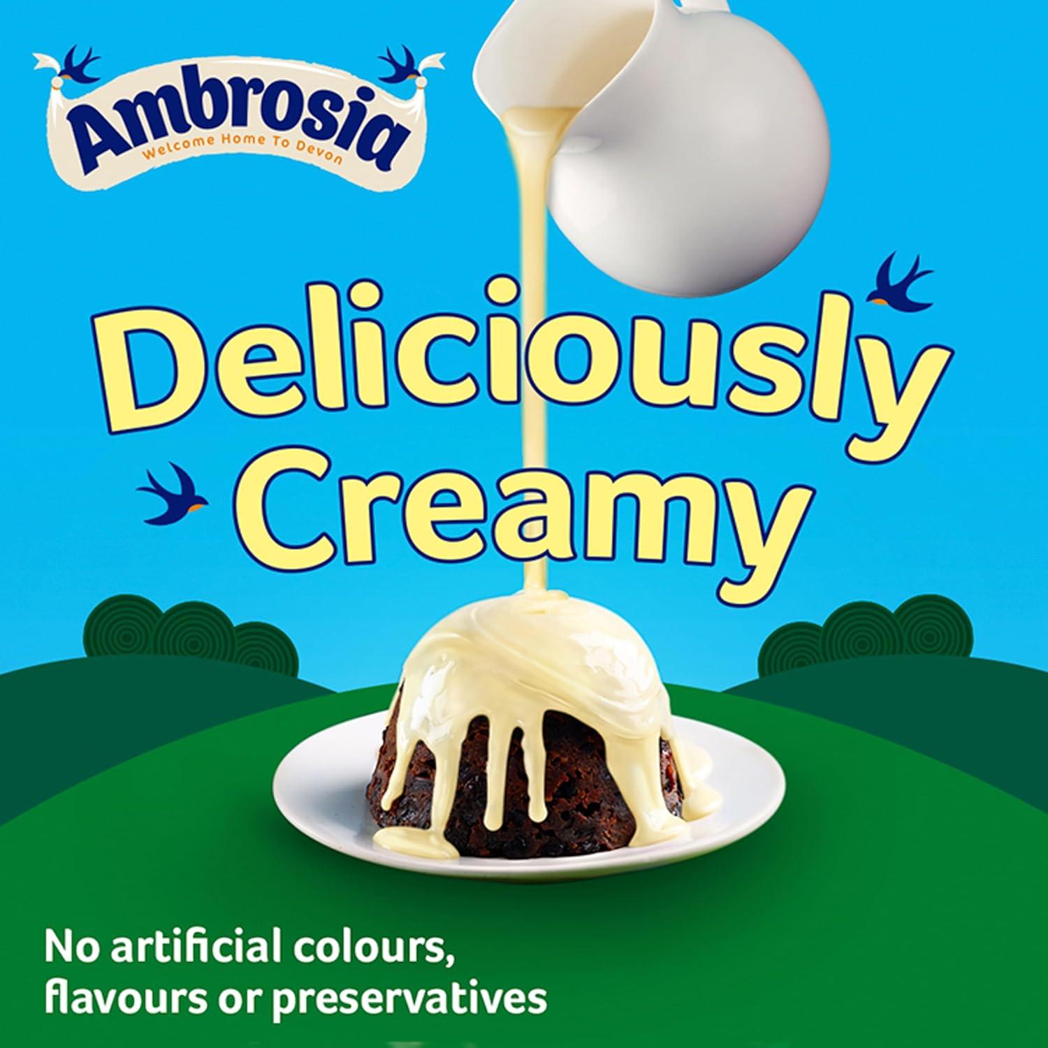 Ambrosia Ready-to-Eat Creamy & Delicious Devon Custard Carton 500 g ...
