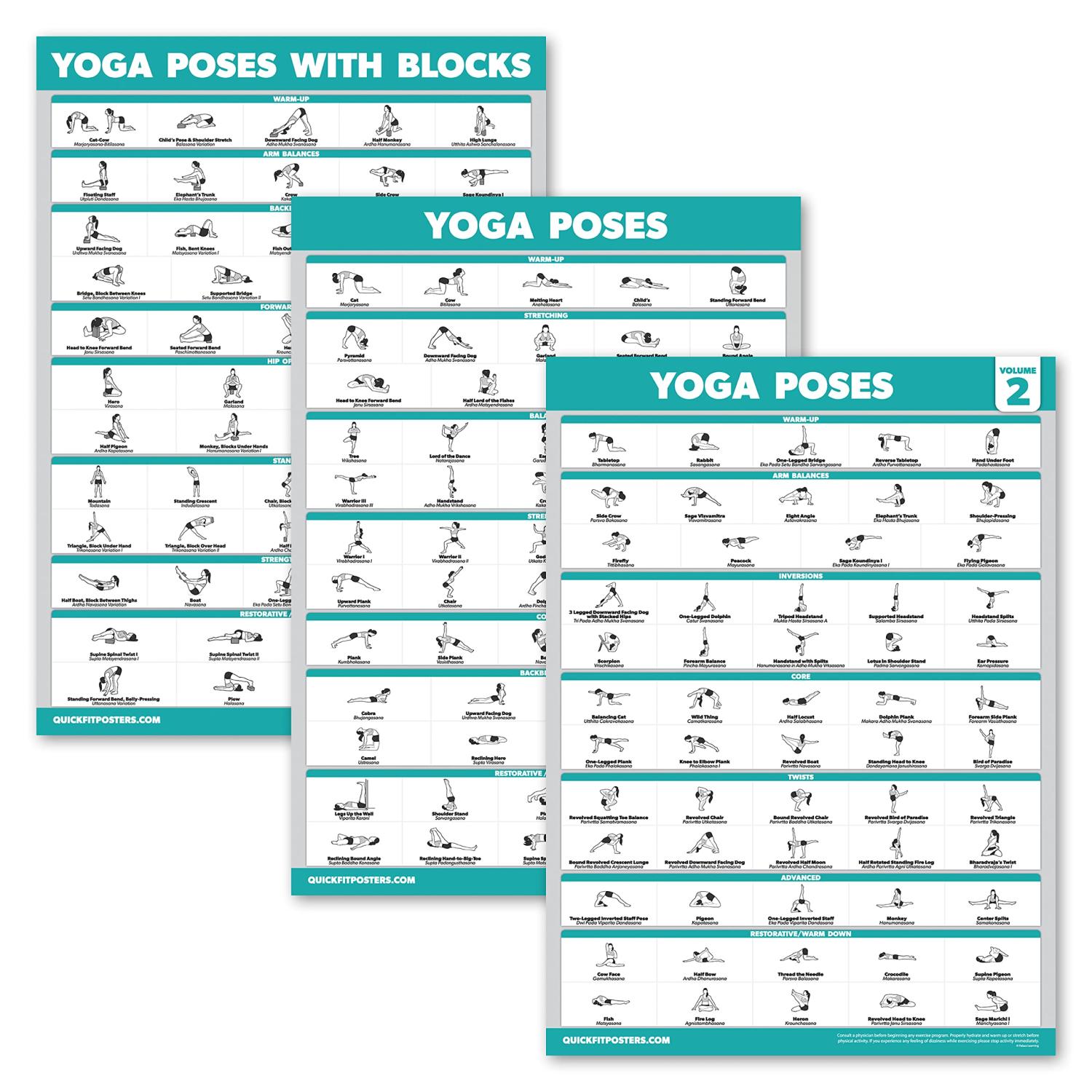 Palace Learning 3 Pack - Yoga Poses Poster Volume 1 & 2 + Yoga ...