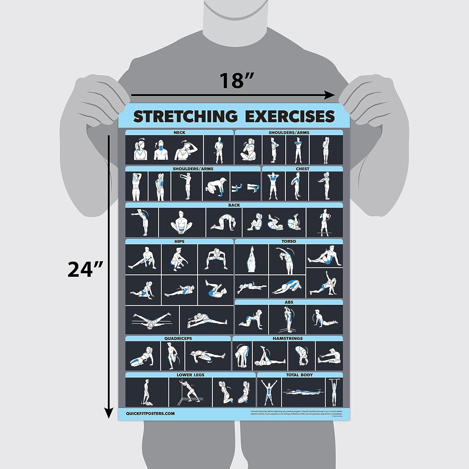 Palace Learning Laminated Poster for Stretching & Muscle Exercises ...