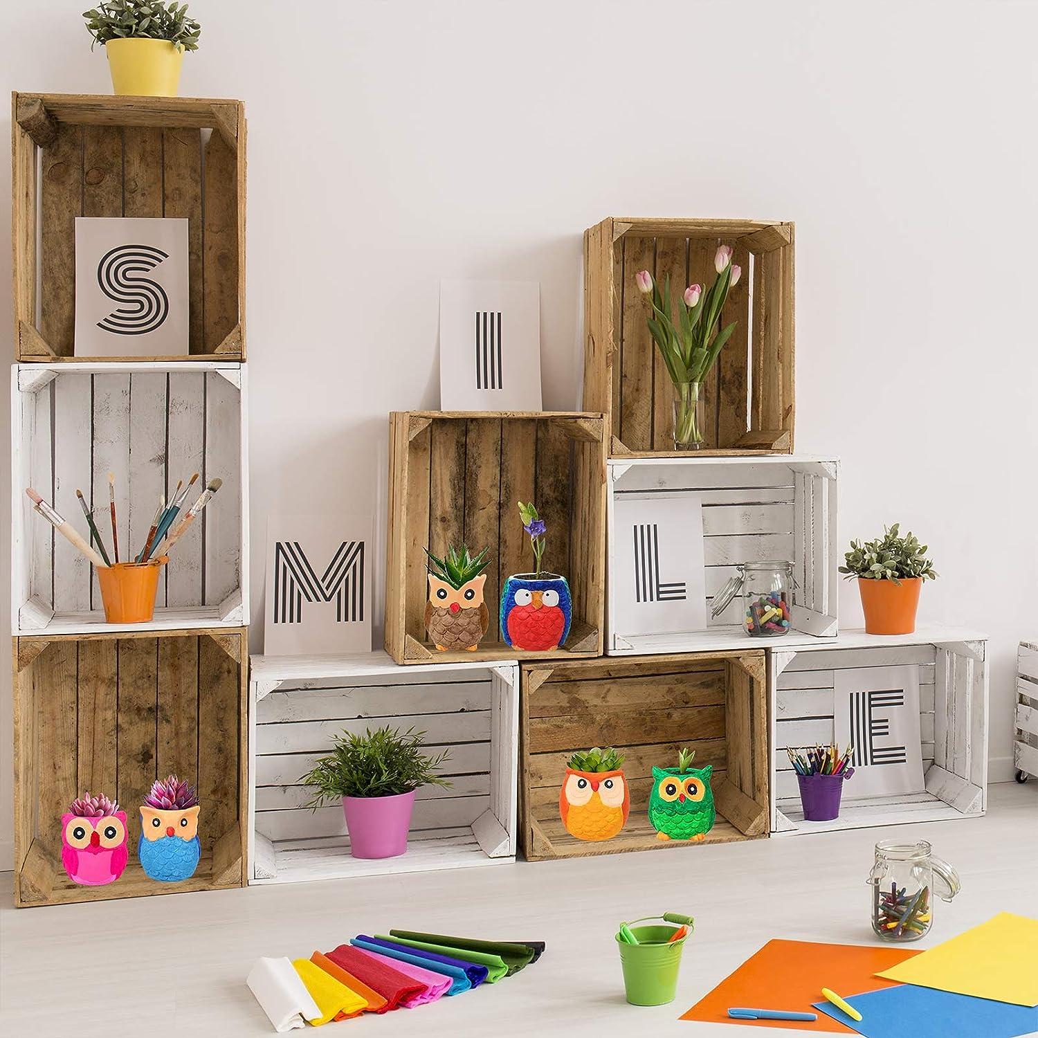 DIY Ceramic Owl Succulent Pots Paint Craft Kit - Set of 6 | Unpainted ...