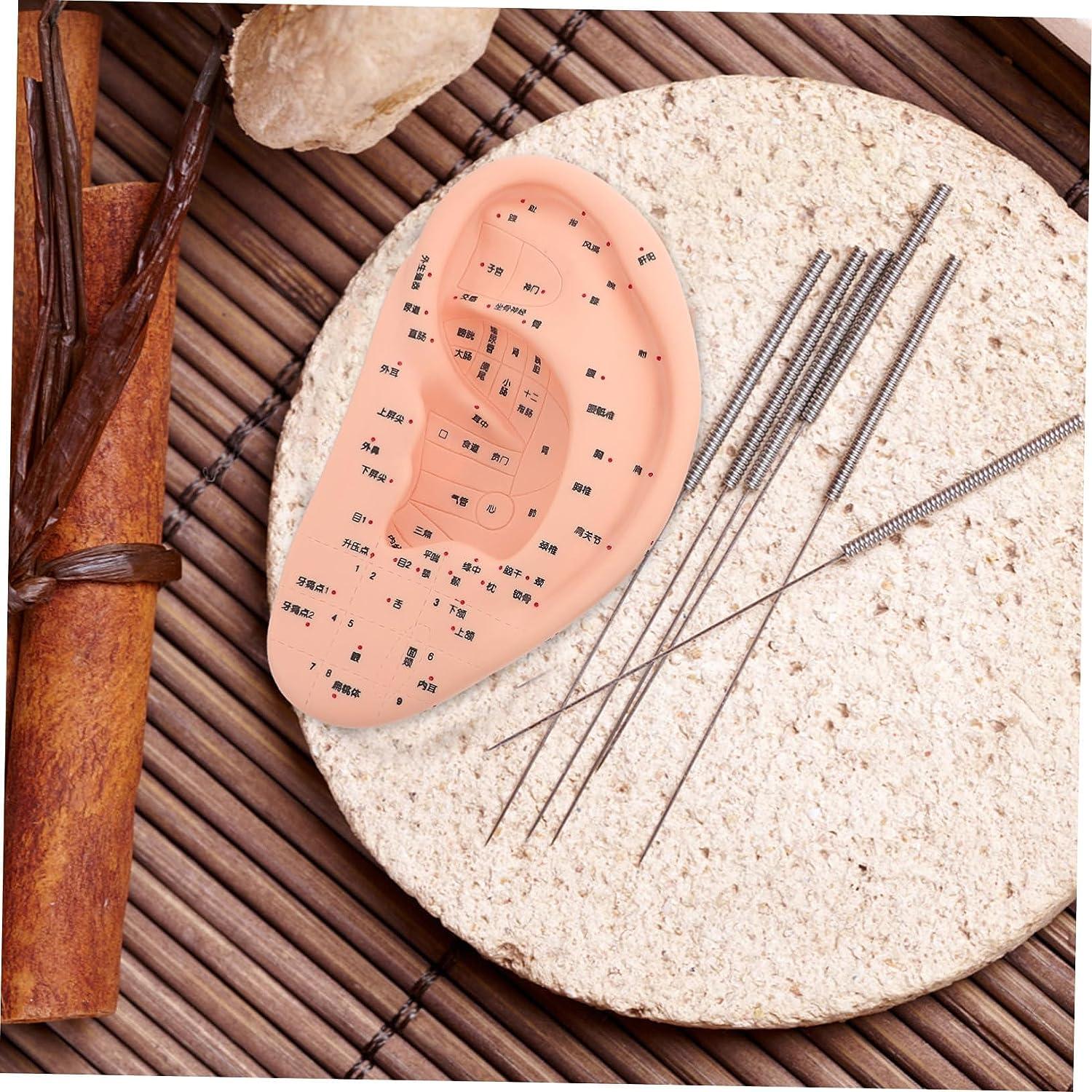 SOLUSTRE 1pc Ear Massage Model Massage Tools Points Model Natural Size ...