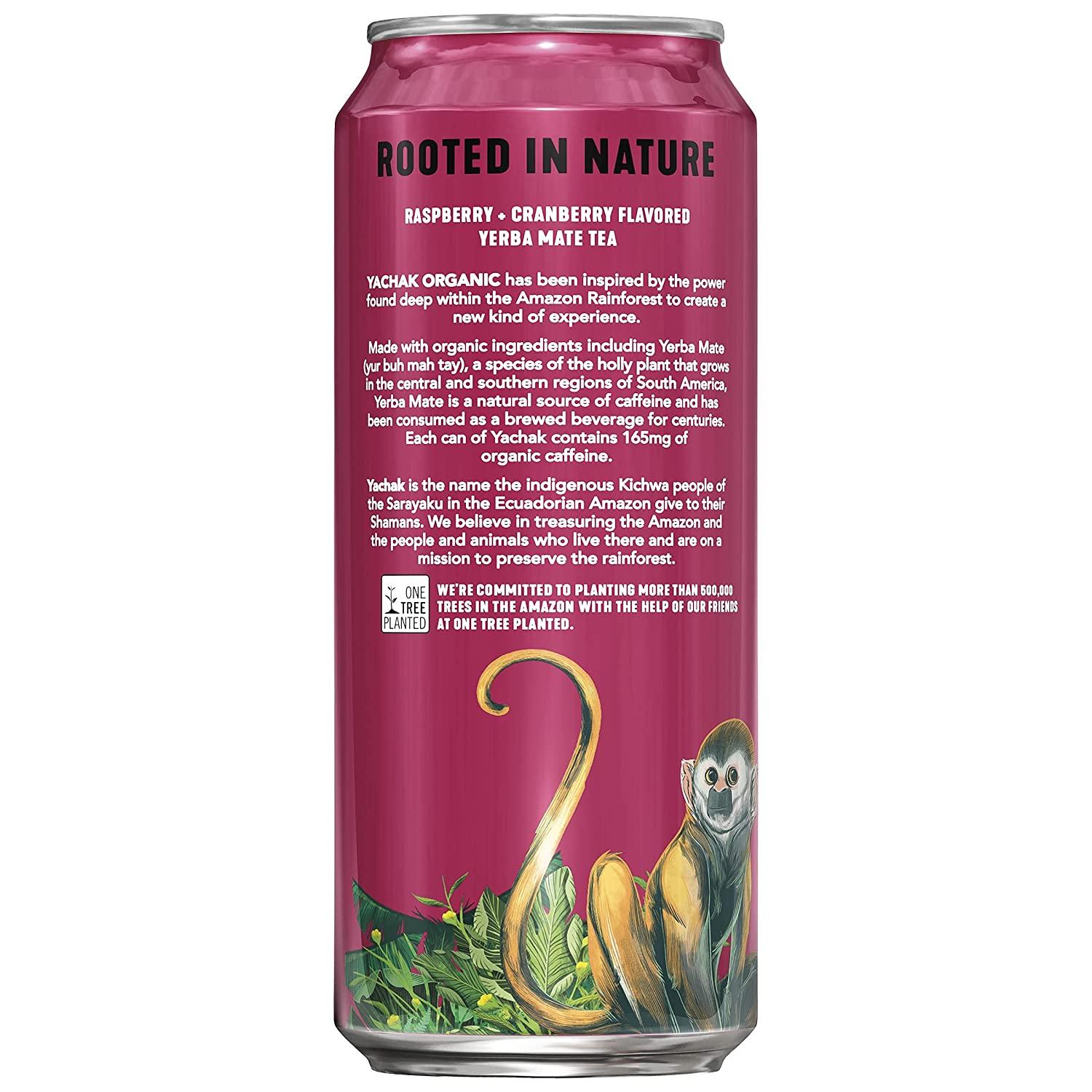 Yachak Yerba Mate Drink Berry Red 16 Fl Oz Cans - Pack of 12 ...