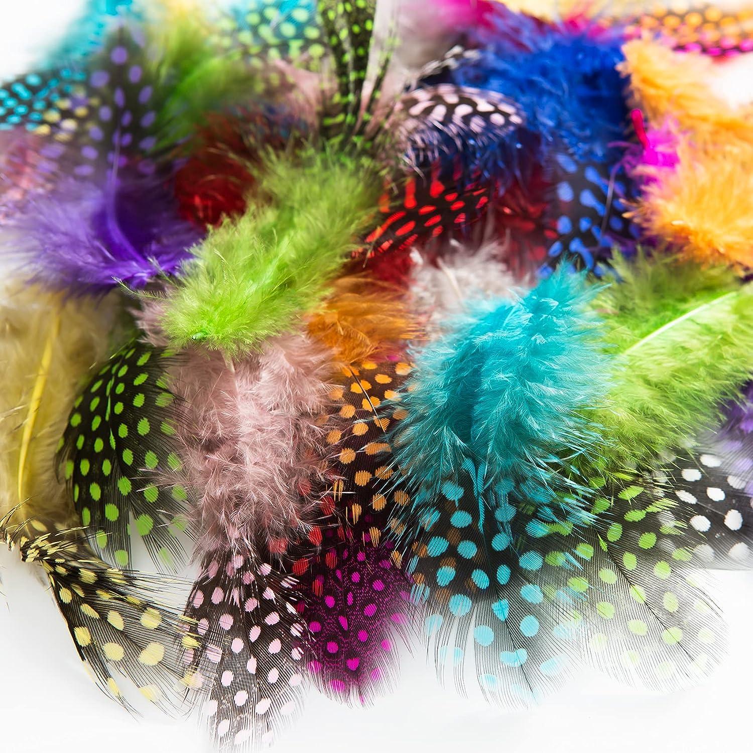 300Pcs Colorful Craft Feathers - Perfect for DIY, Weddings, Parties ...