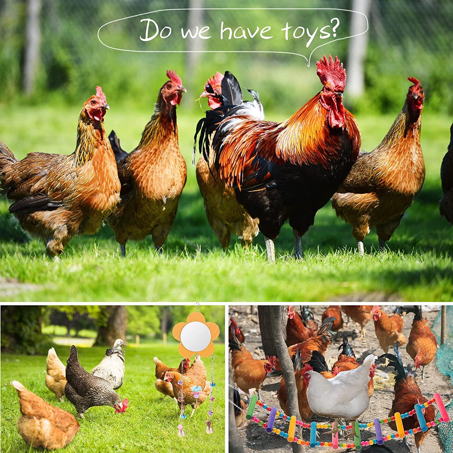 KAKUNM Chicken Toys Set: Xylophone, Swing, Mirror, Ladder, Vegetable ...