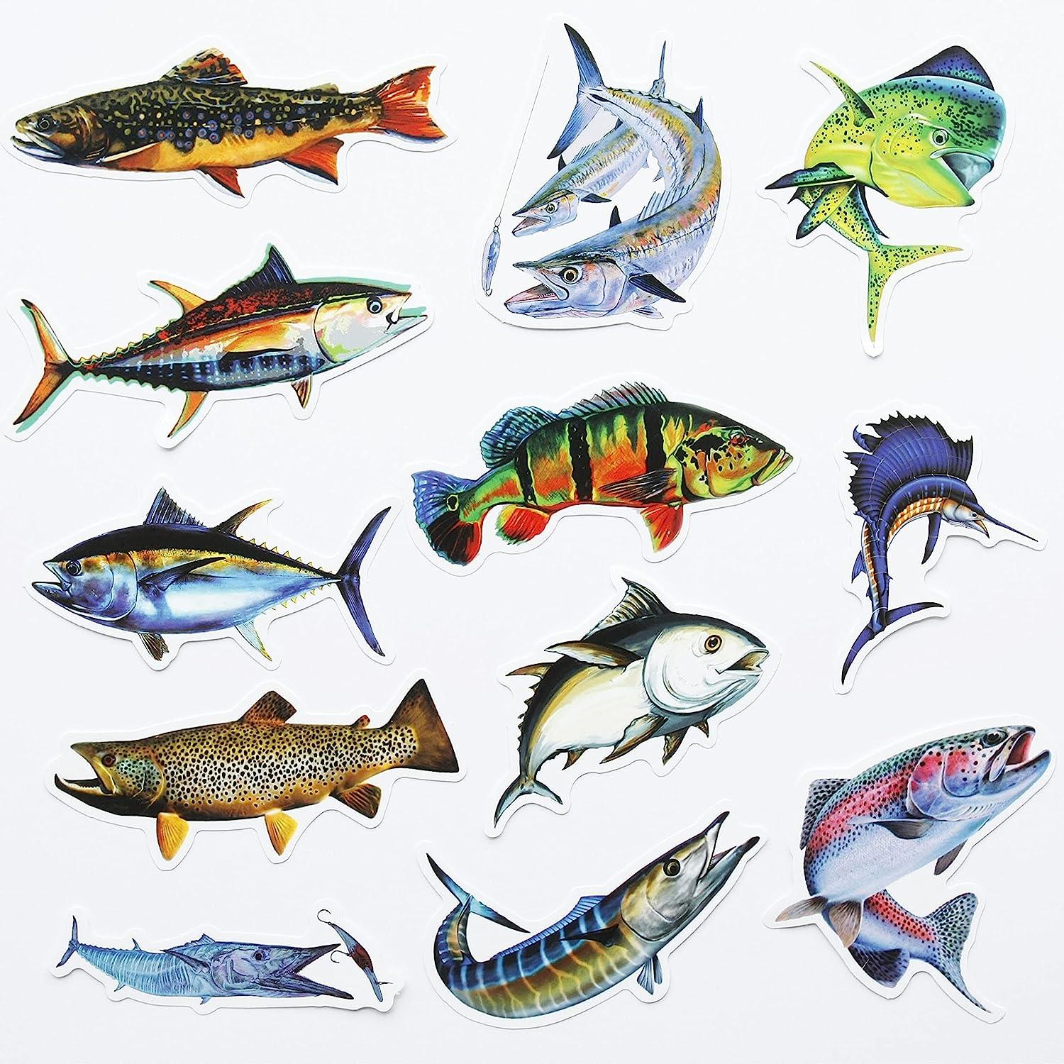 50Pcs Funny Fishing Rod Decals for Trucks, Windows, Boats - Grouper ...