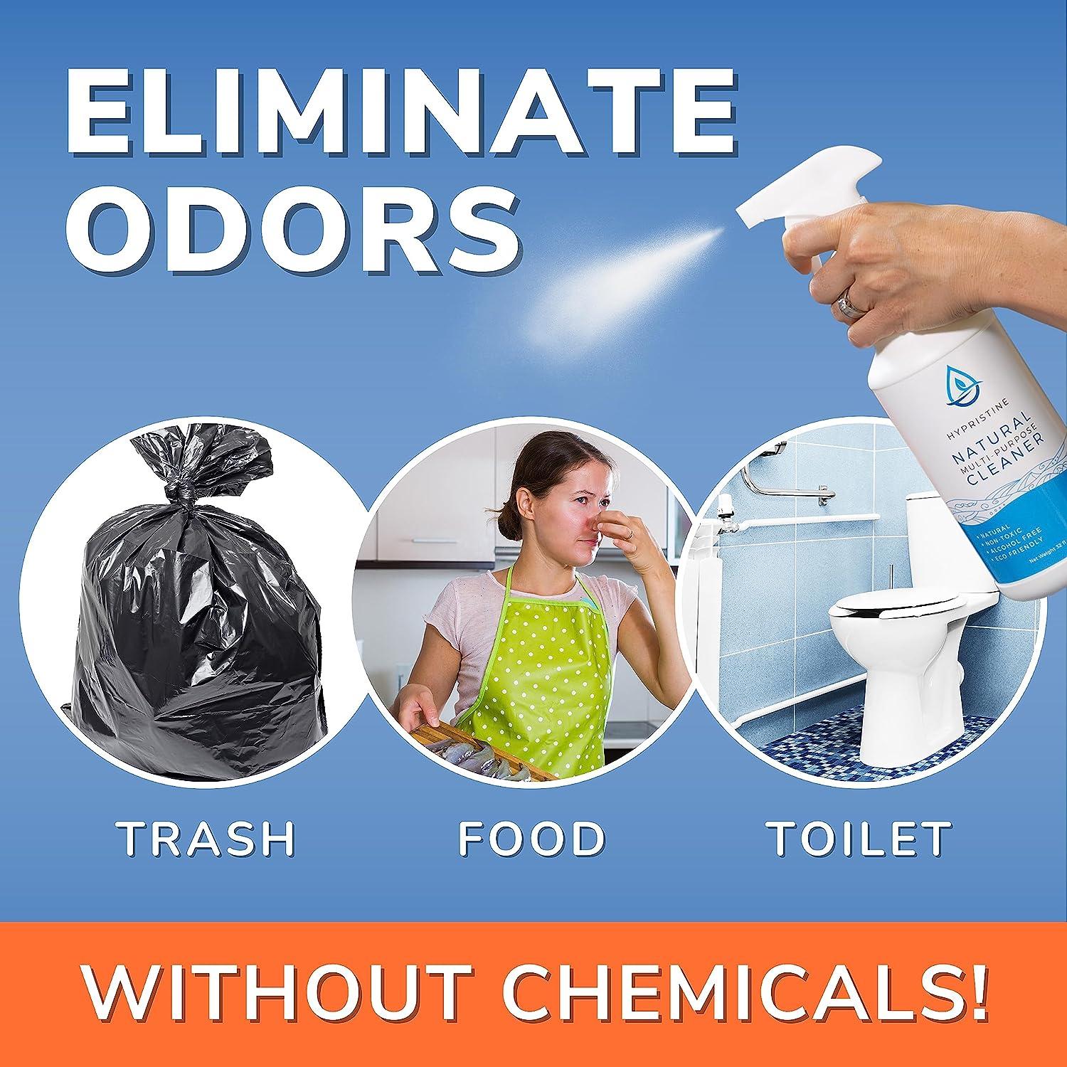 Hypristine Hypochlorous Acid All Purpose Cleaner - 32 Fl Oz - All ...