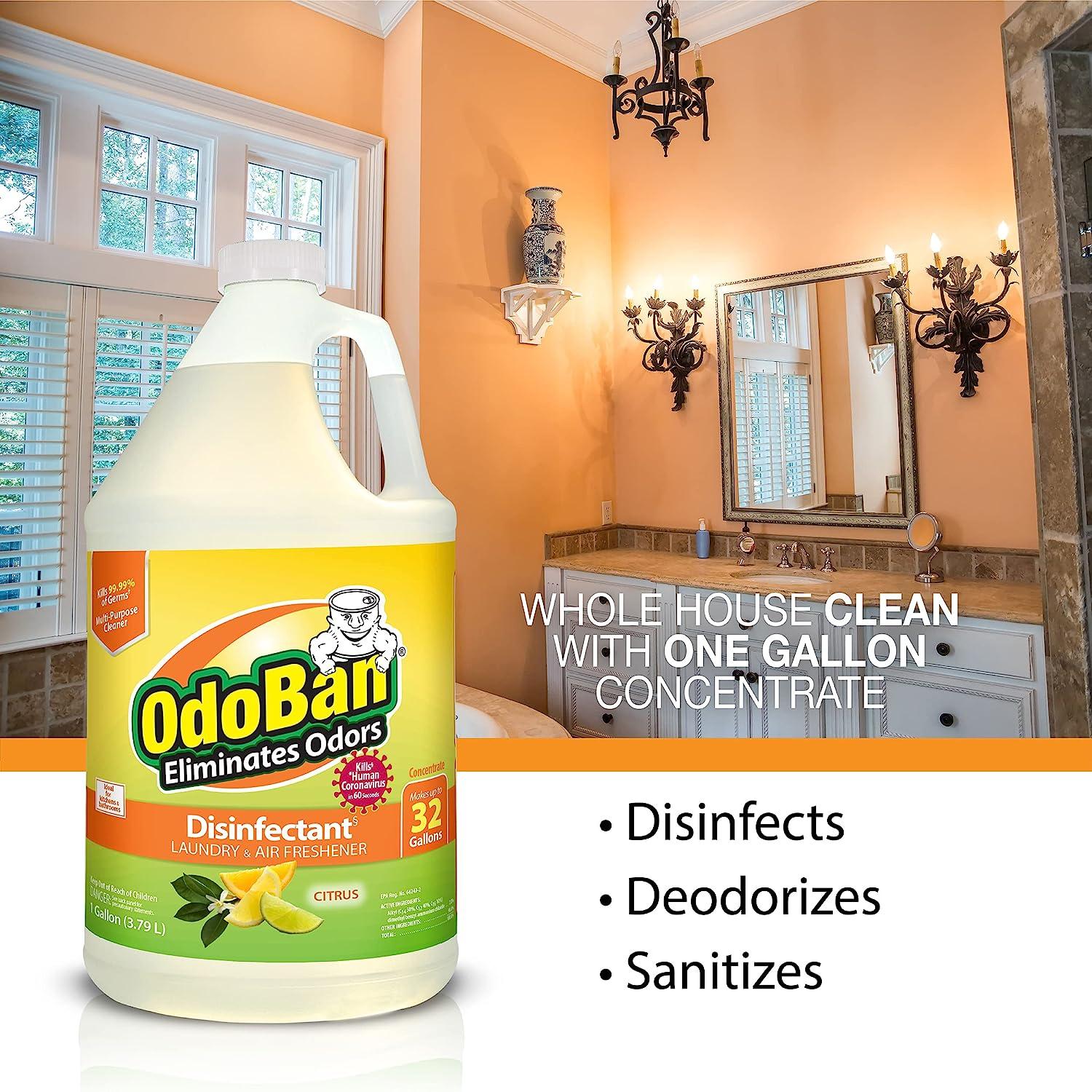 OdoBan Ready-to-Use Disinfectant and Odor Eliminator, Set of 2, 32 oz ...