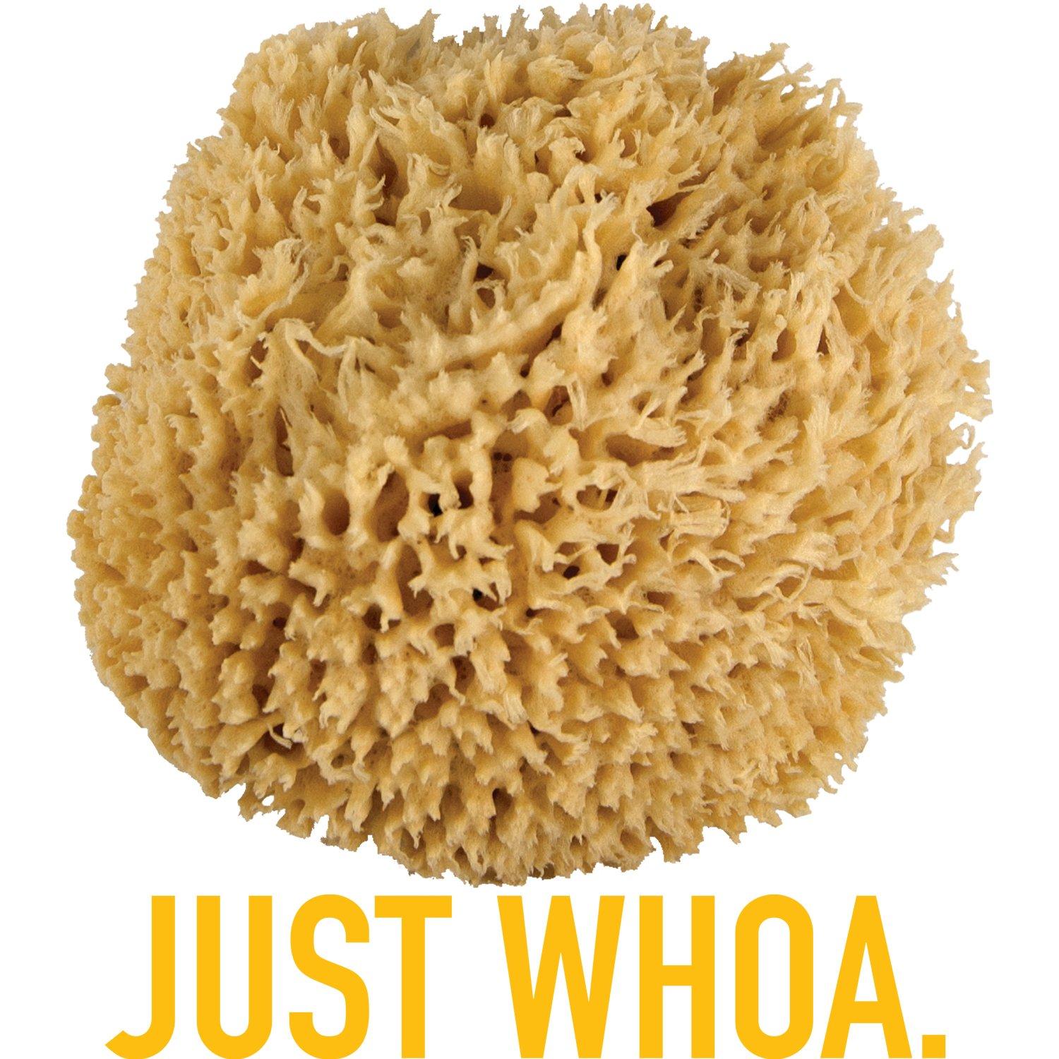 JUST WHOA Sea Wool Bath Sponge - Ultra Soft & Really Really Big | Buy ...