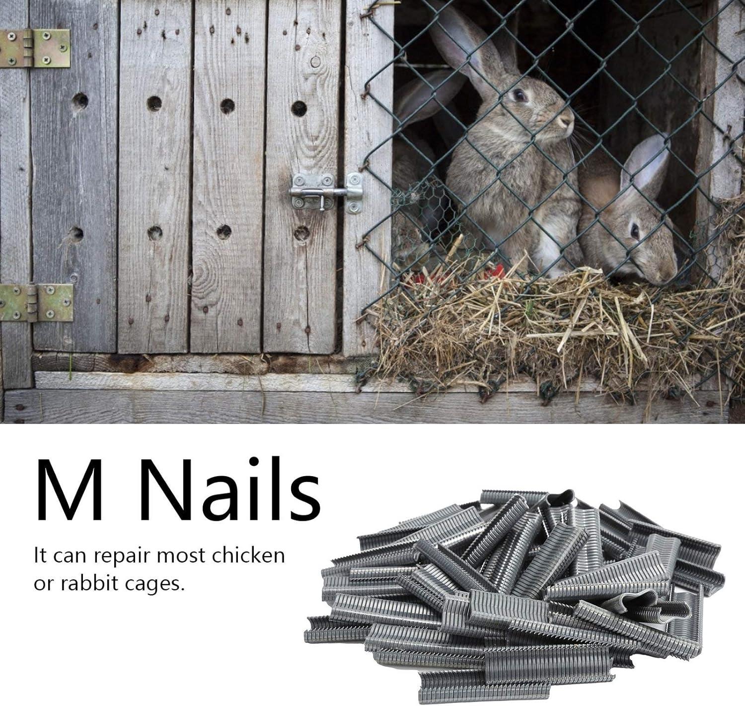Cage Nails Not Reusable Birds Cage Nails Chicken Pigeons Cages Cages ...