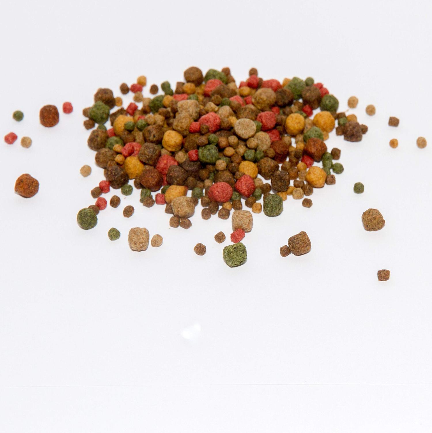 Premium Koi Koi Food 5-Variety Mix - 15L (3-6mm) - 5.8kg - Ideal for ...