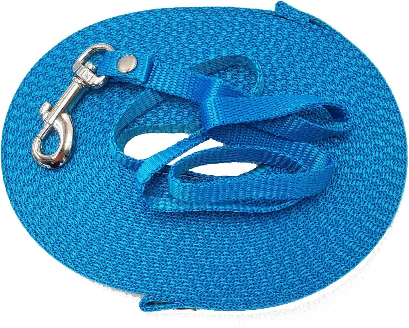 Elropet Mini Field Dog Leash for Small Dogs - 2m Turquoise Track Leash ...