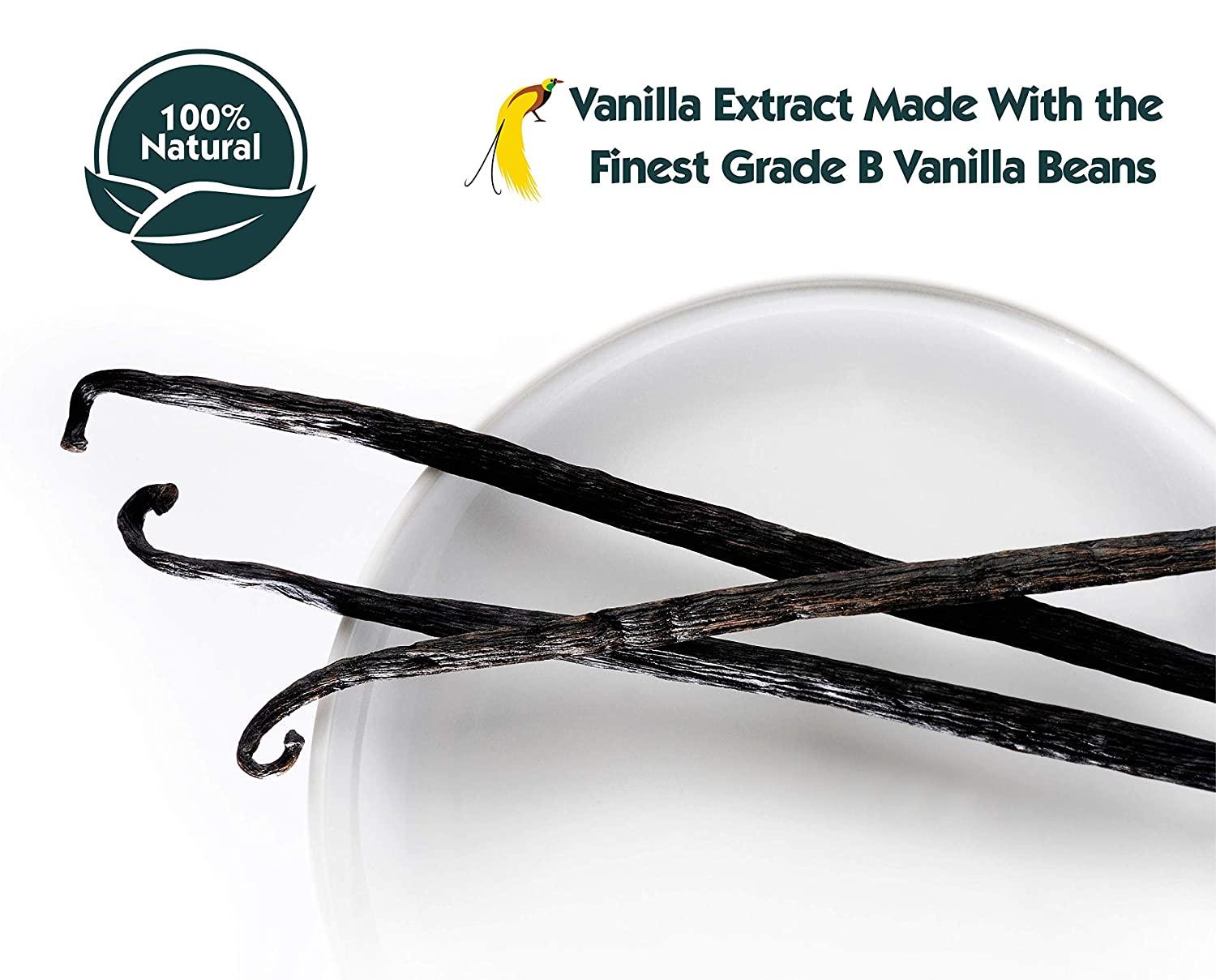 Native Vanilla 16 Fl Oz - Premium Vanilla Extract for Chefs & Home ...