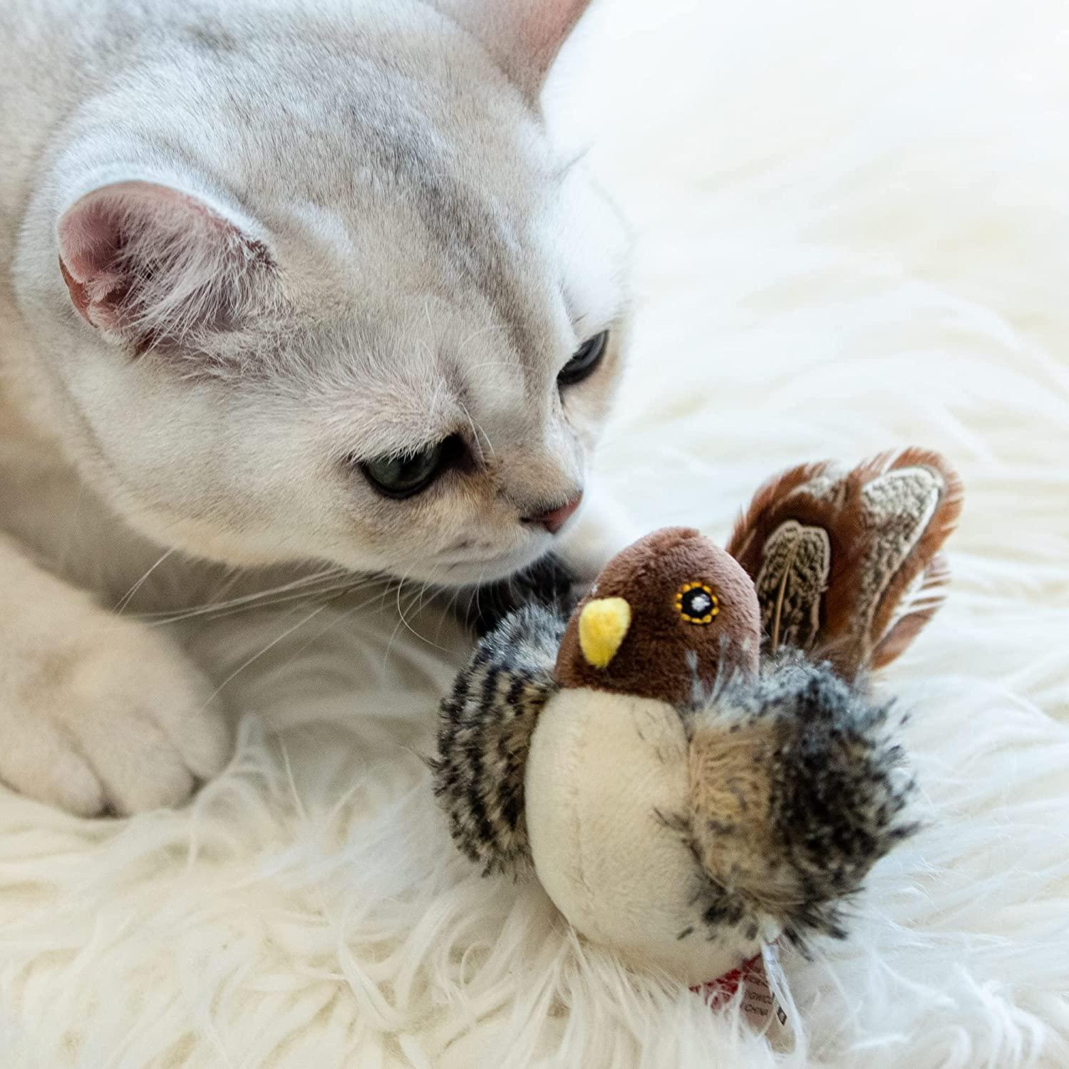 Gigwi Interactive Cat Toy - Real Chirping Bird Sound | Feather & Plush ...
