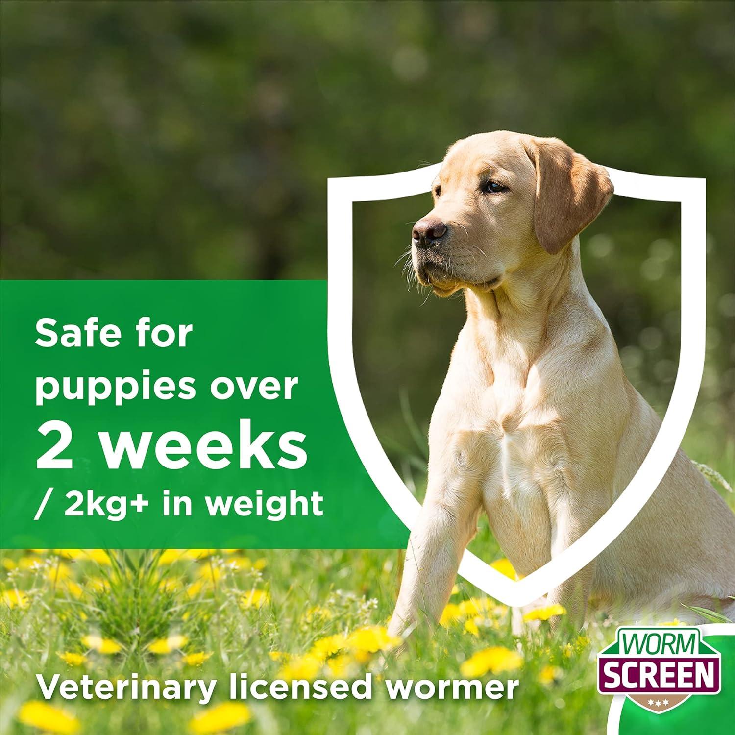 WORM SCREEN Dog (4 tablets) - Veterinary Licensed Worming Tablets for ...