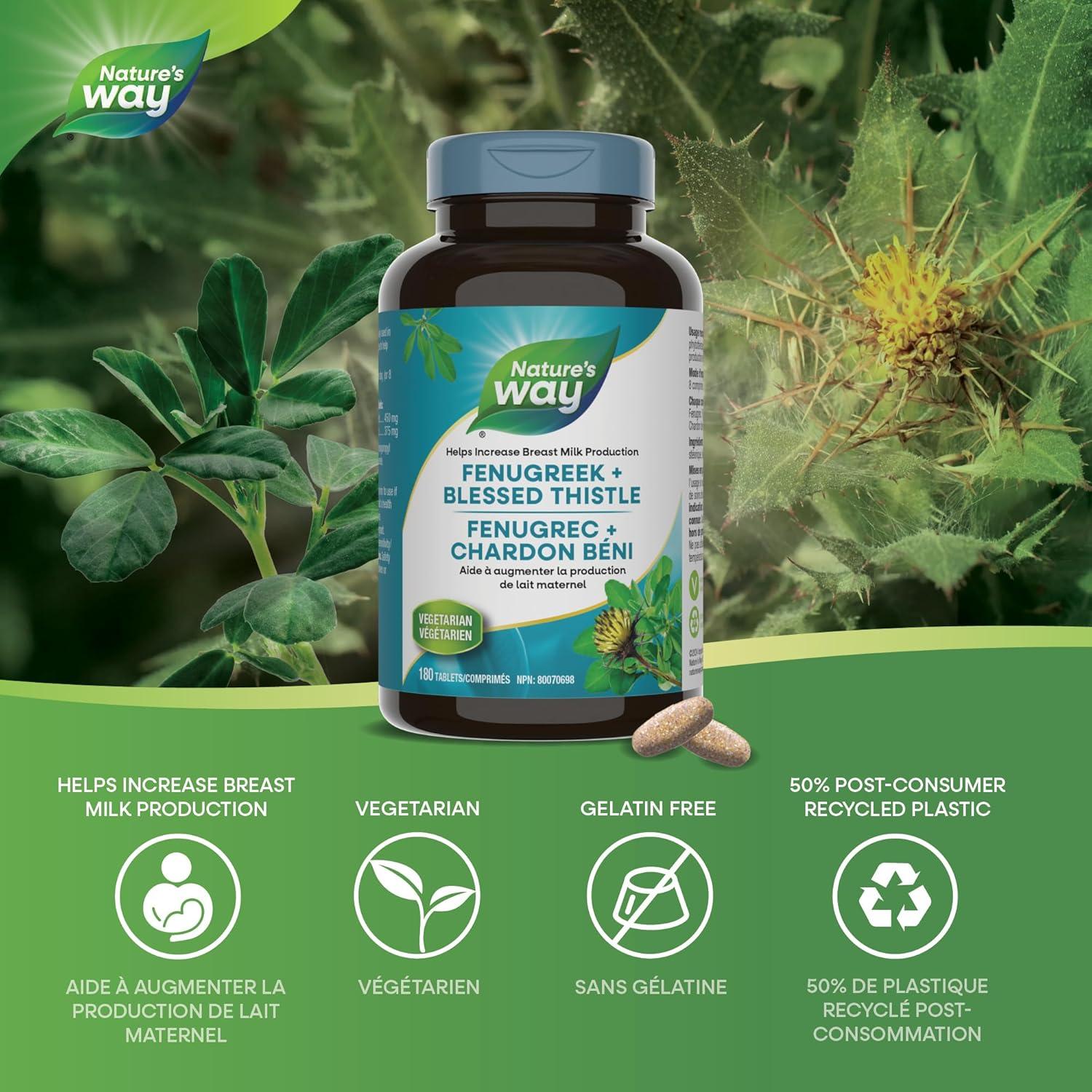 Nature's Way Fenugreek and Blessed Thistle Used in Herbal Medicine as a ...