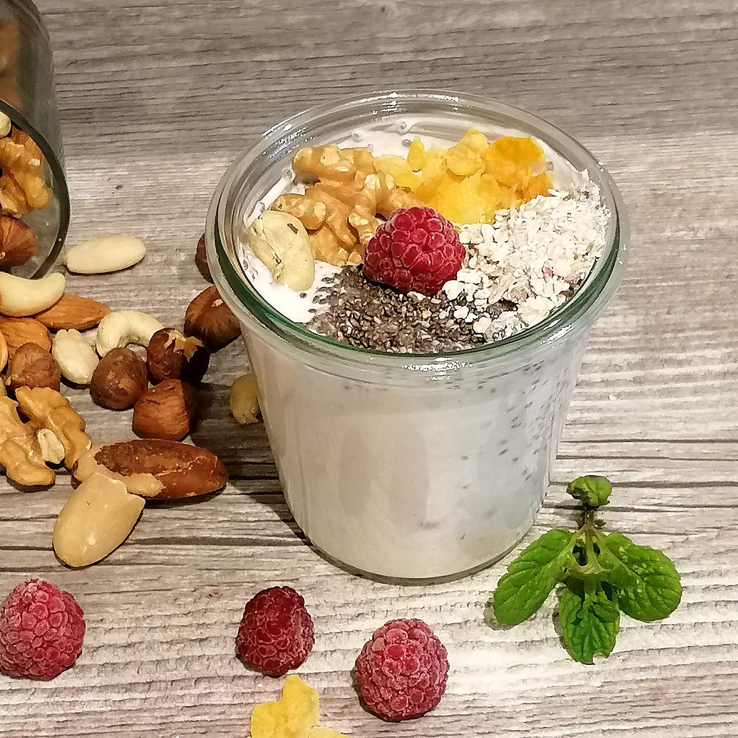Buy Yoghurt Natural Bioferment - Make Authentic Bulgarian Yoghurt at ...