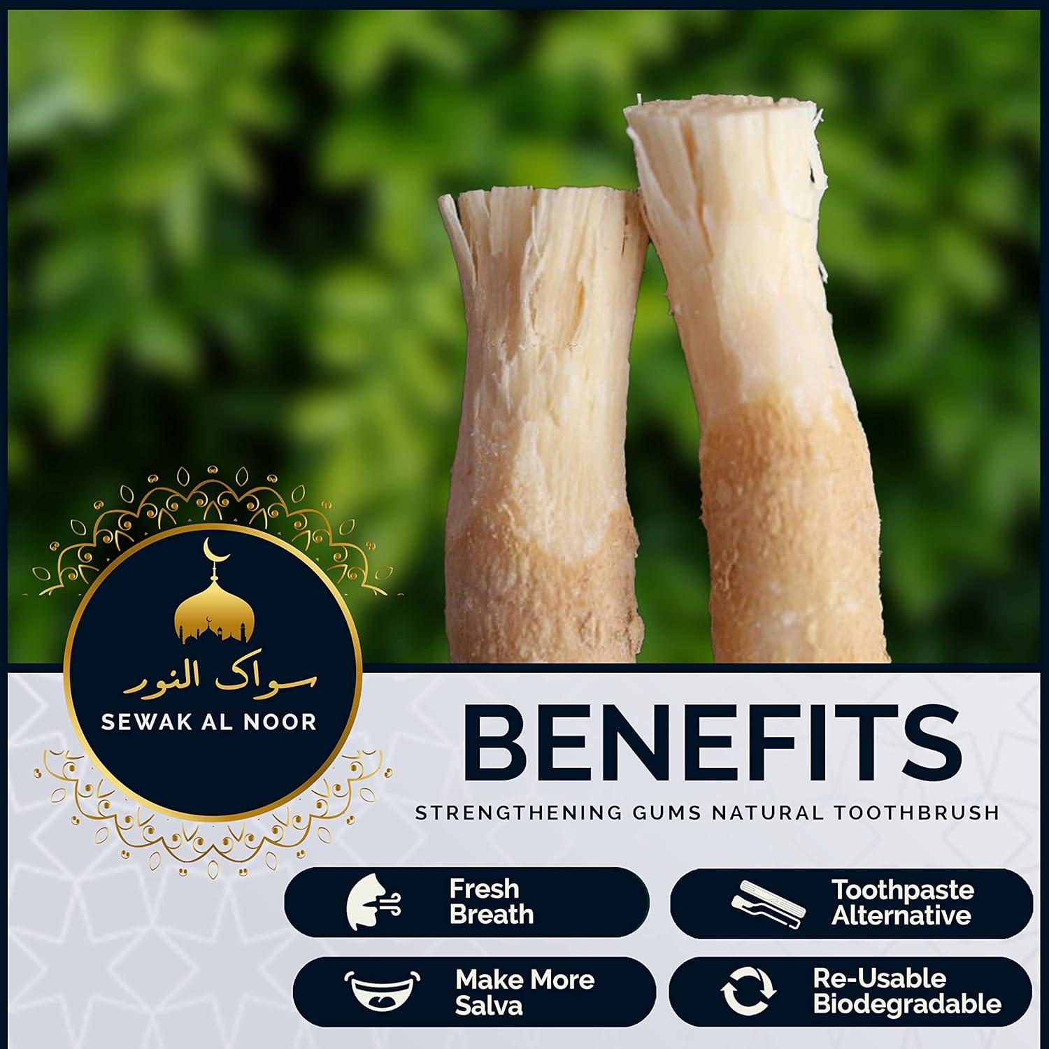 Sewak Al Noor 10-Pack Miswak Sticks with Holder - Natural Flavored Chew ...