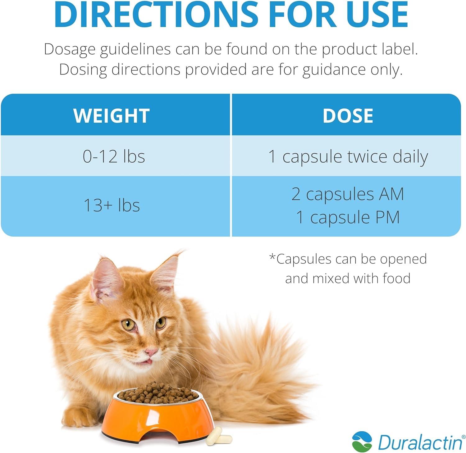 Duralactin Feline Nutritional Aid 200mg by Veterinary Products ...