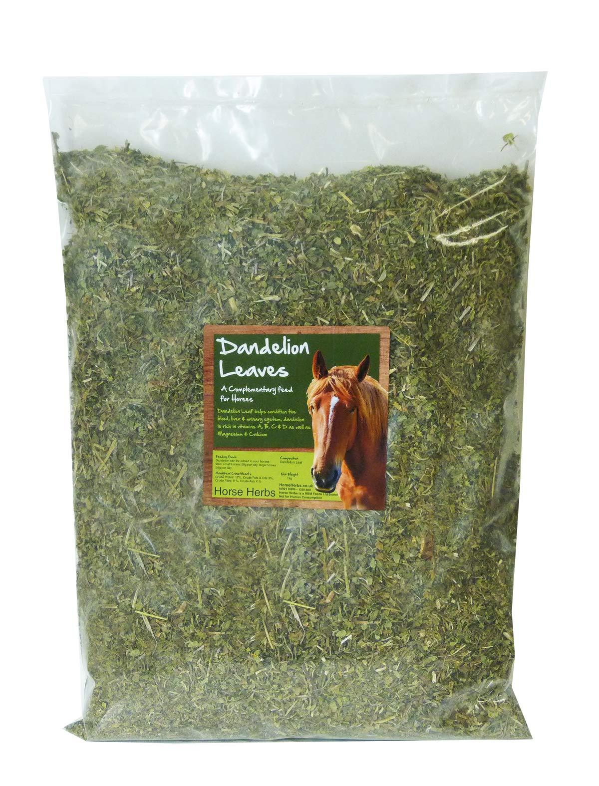 Horse Herbs Dandelion Leaves Cut - Natural Feed Supplement for Horses ...