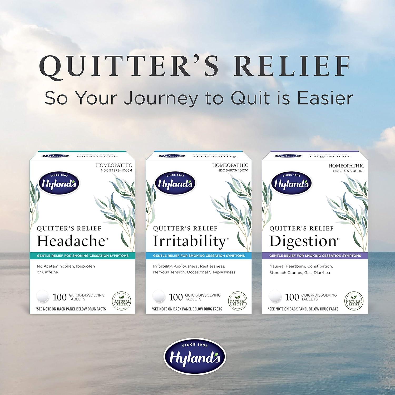 Hyland's Quitter's Relief Digestion - 100 Tablets | Gentle Support for ...
