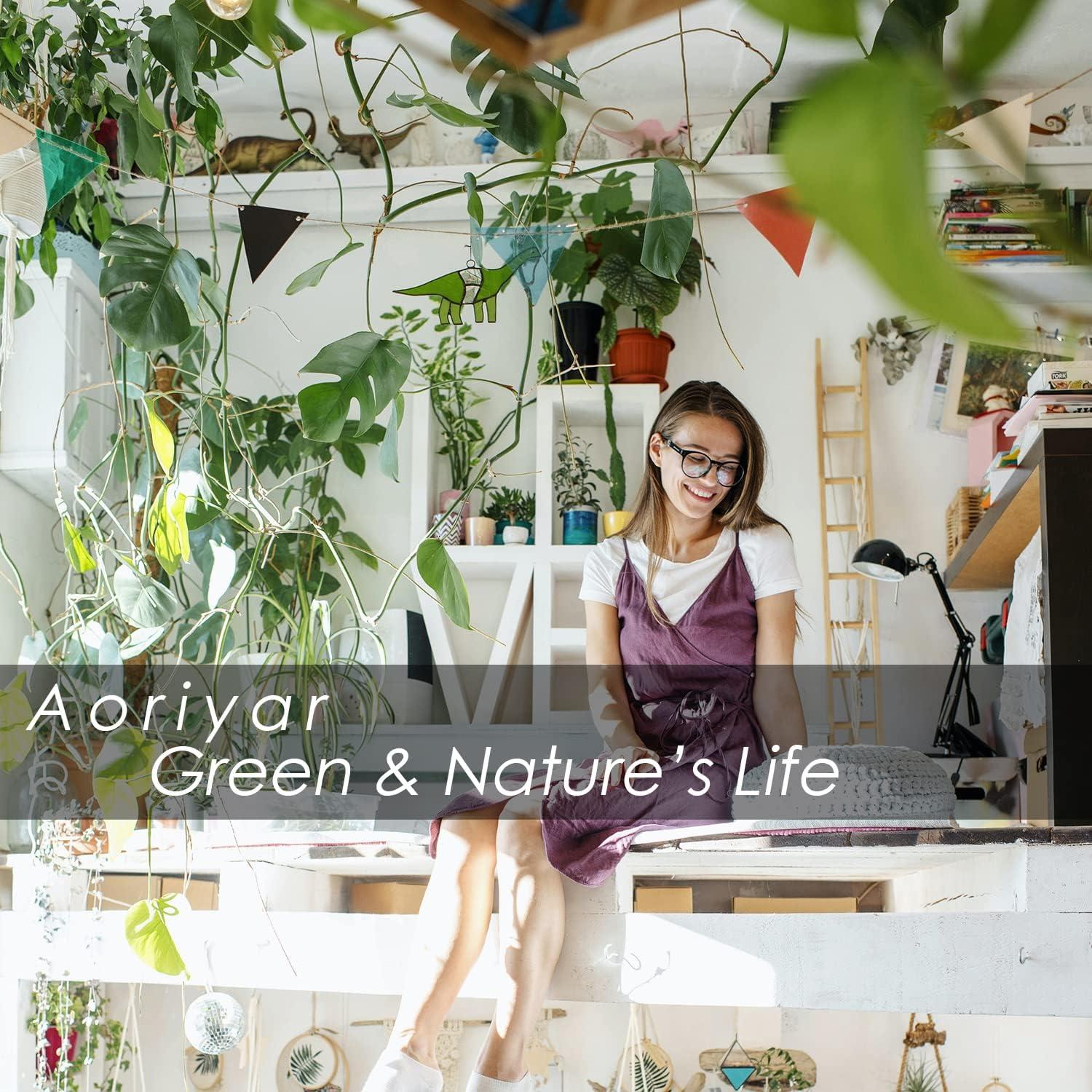 Bioma 120-Pack Small Organic Garbage Bags - 6L Degradable Compost Bags ...