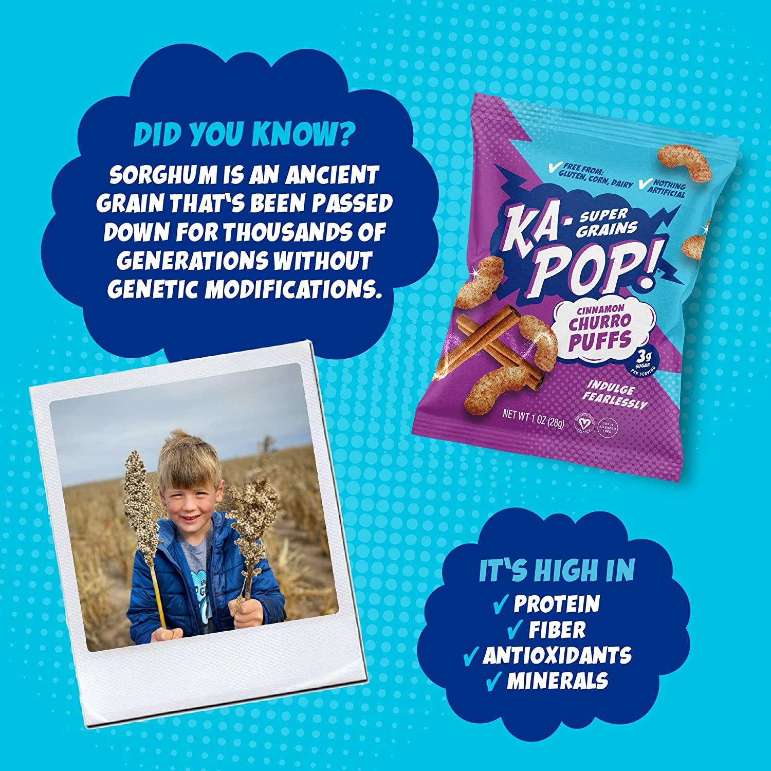 Ka-Pop! Cinnamon Churro Popped Puffs 1oz (Pack of 24) - Gluten-Free ...