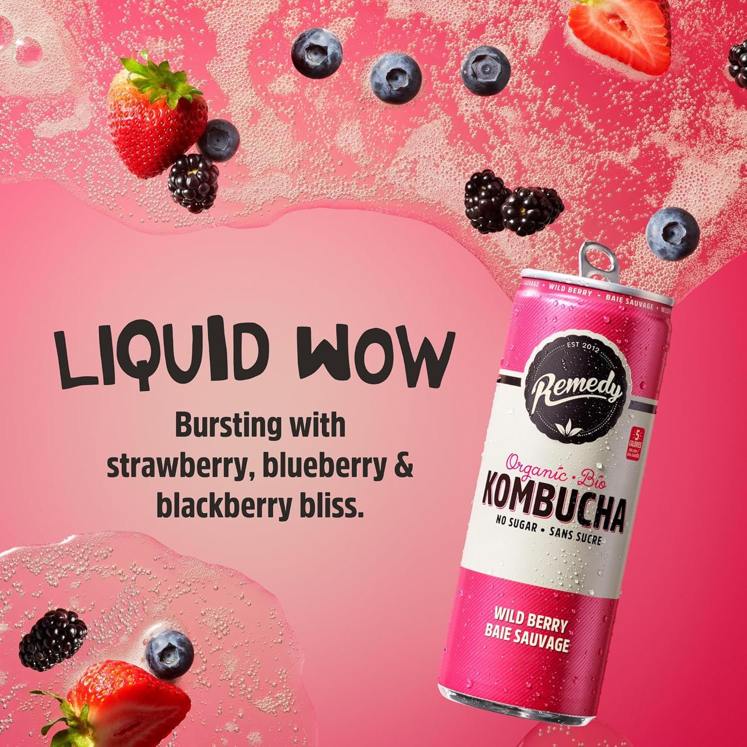 Remedy Kombucha Sugar-Free Organic Drink Sparkling Low Calorie Gut ...