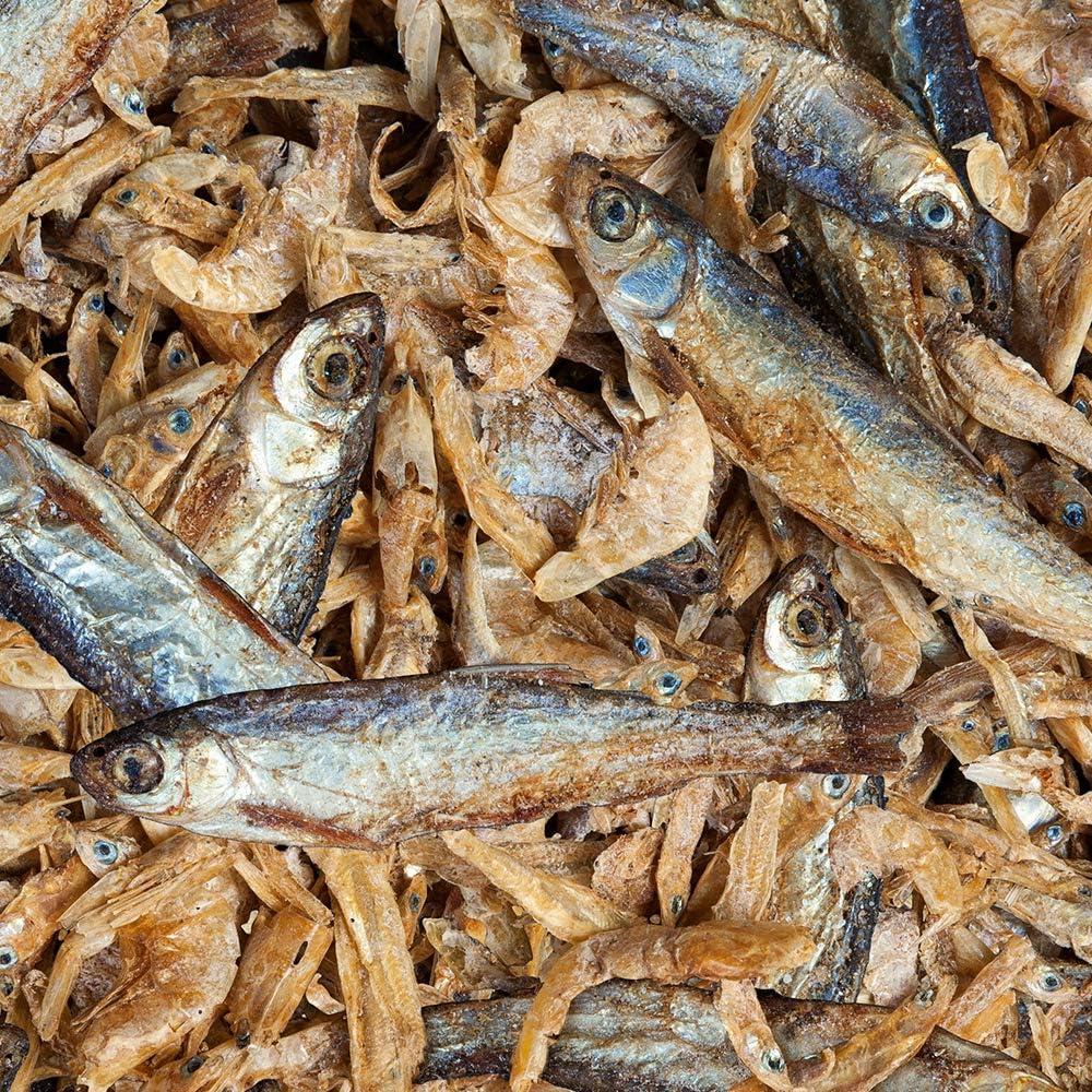 Sera Raffy Royal Nature 3.8L - Premium Dried Fish & Shrimp Food for ...