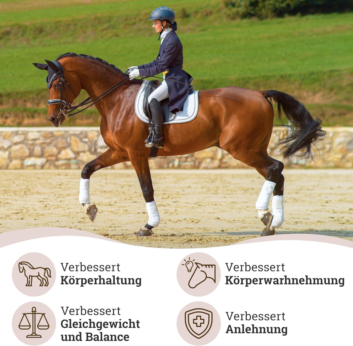 Esposita Elastic Lunging Aid Horse Pony Body Band Horses Floor Work ...