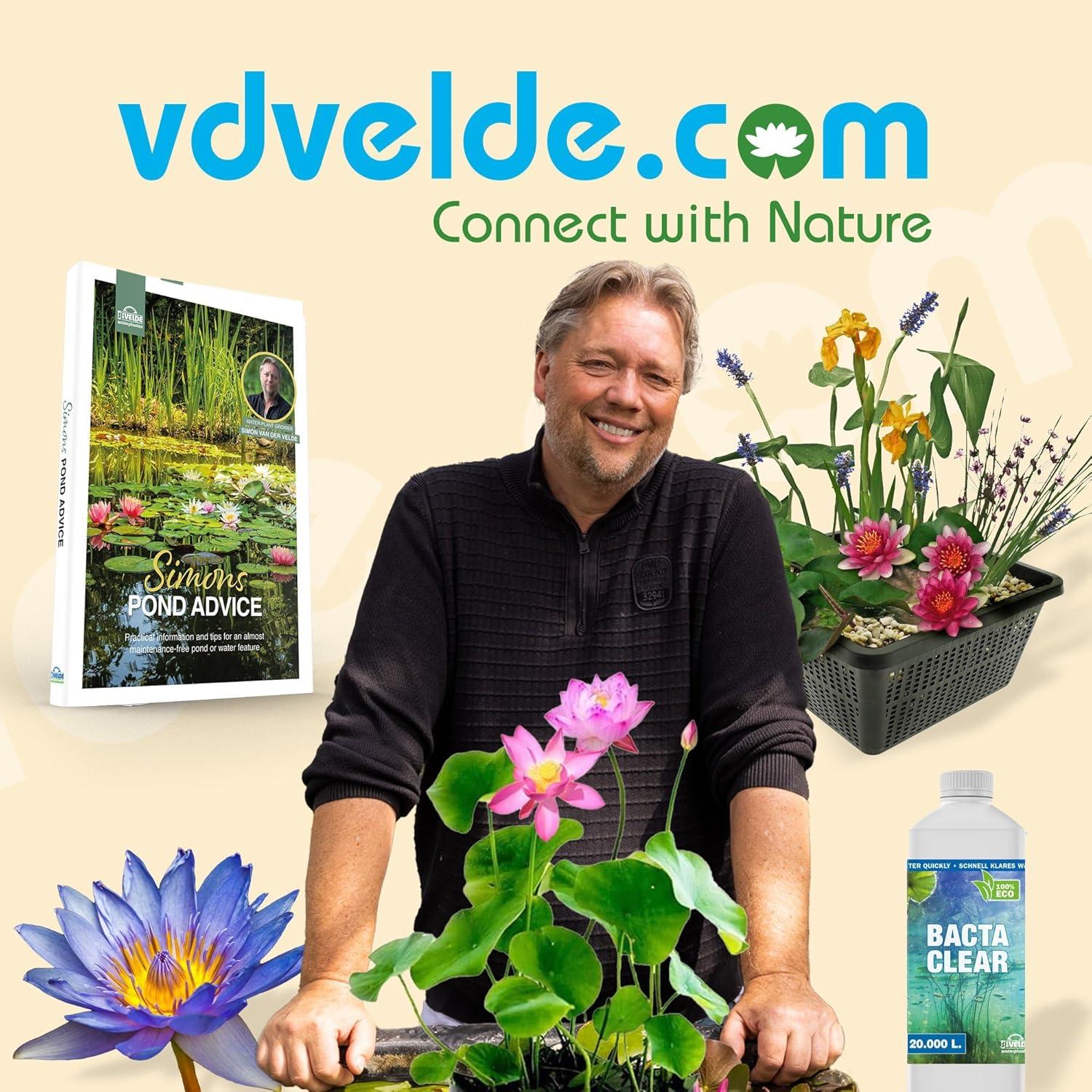 Bio Pond Earth 5L - Premium Planting Soil with Fertilizer for Aquatic ...