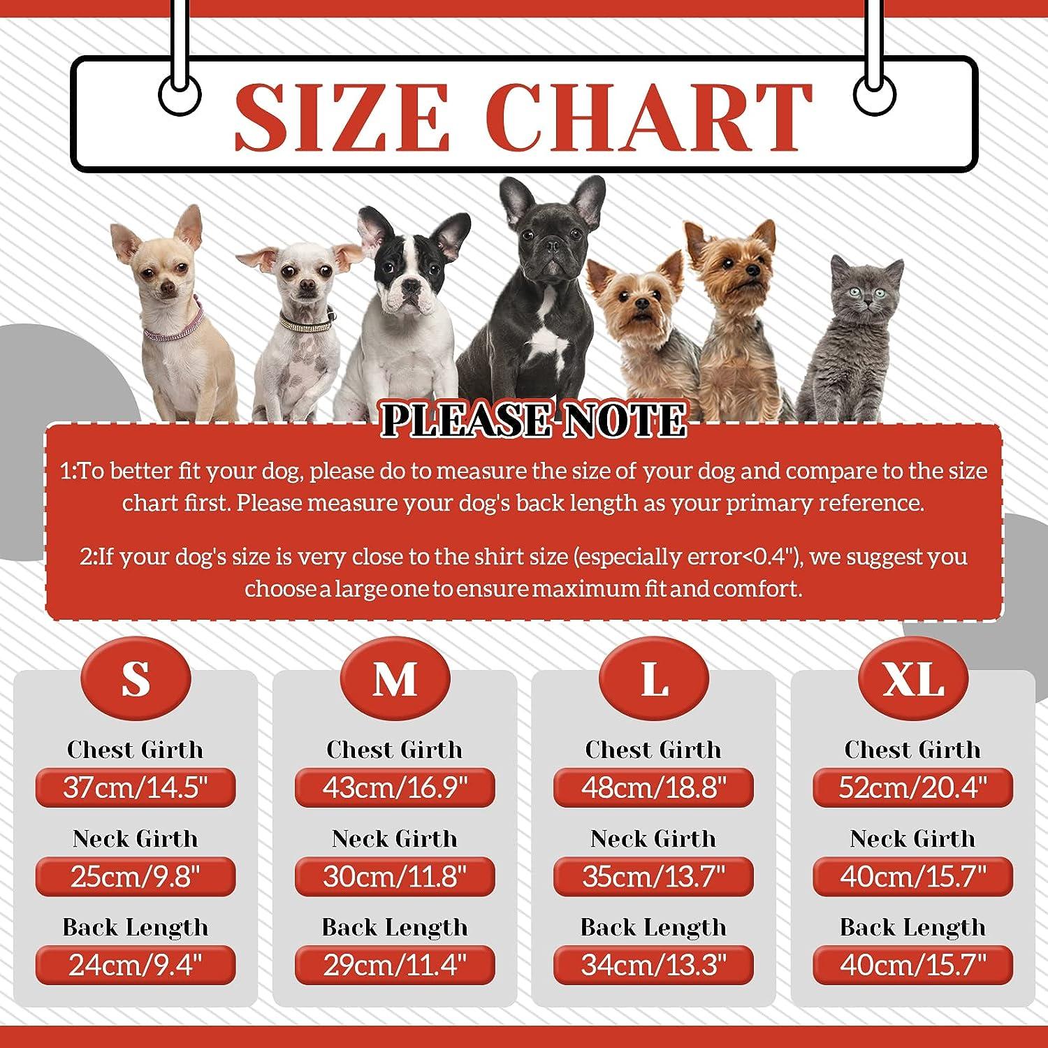 cat breed size chart