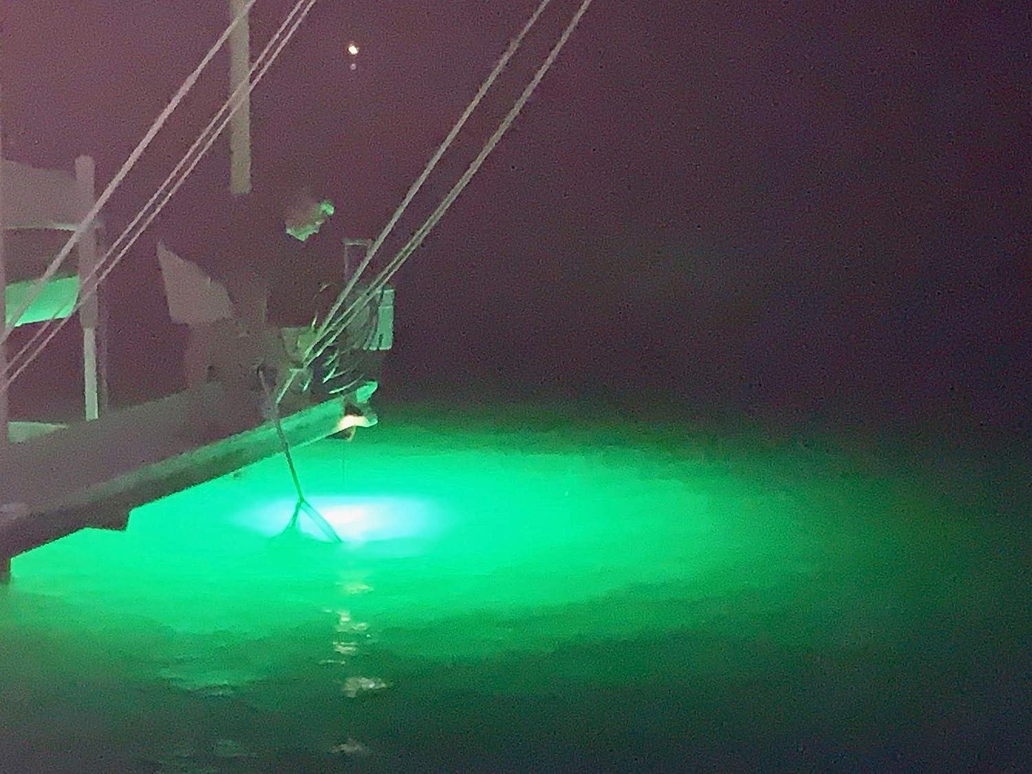 Snook Lights Dock | Shelly Lighting