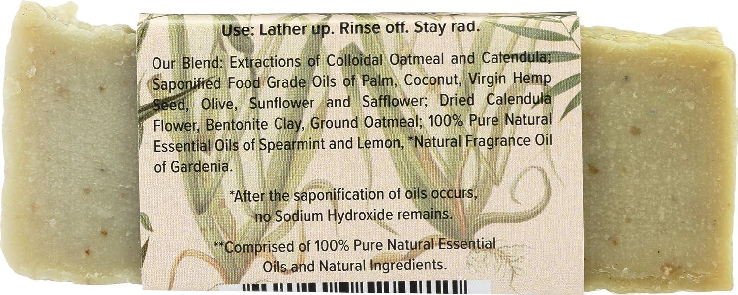 RAD SOAP COMPANY Skin Therapy Oatmeal Body Bar - 6 OZ | Soothing ...