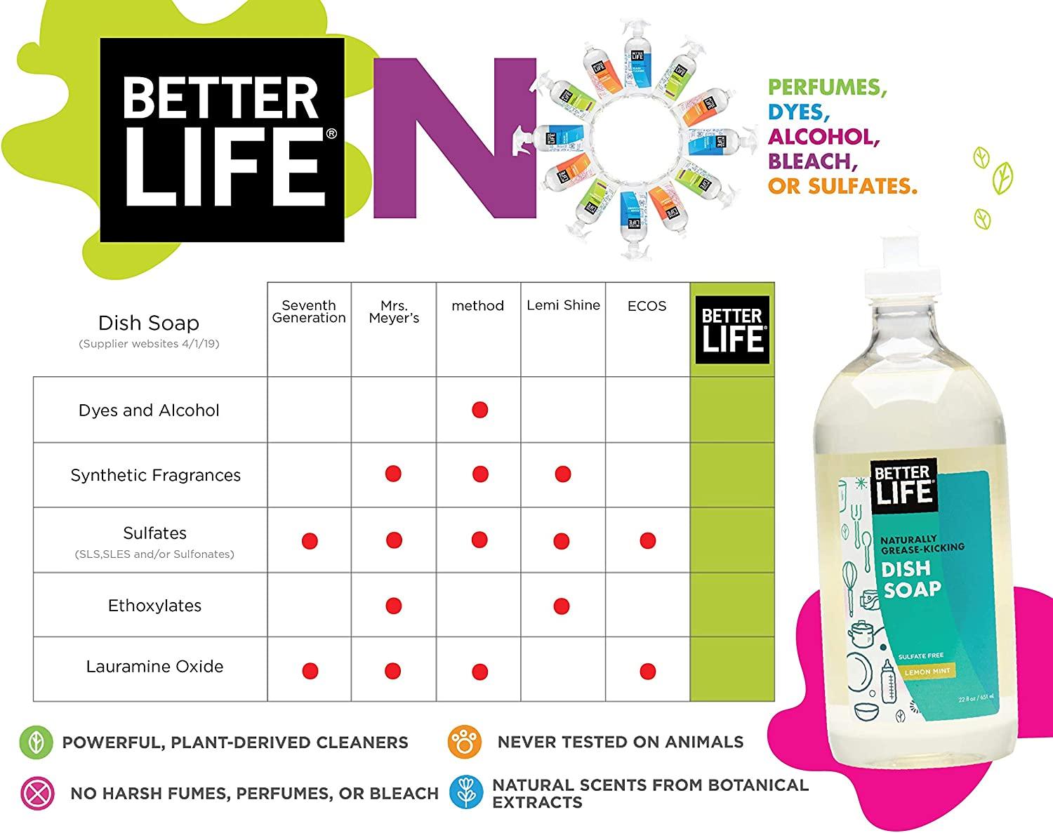Better Life Unscented Dish Soap - 22 Fl Oz | Eco-Friendly & Non-Toxic ...