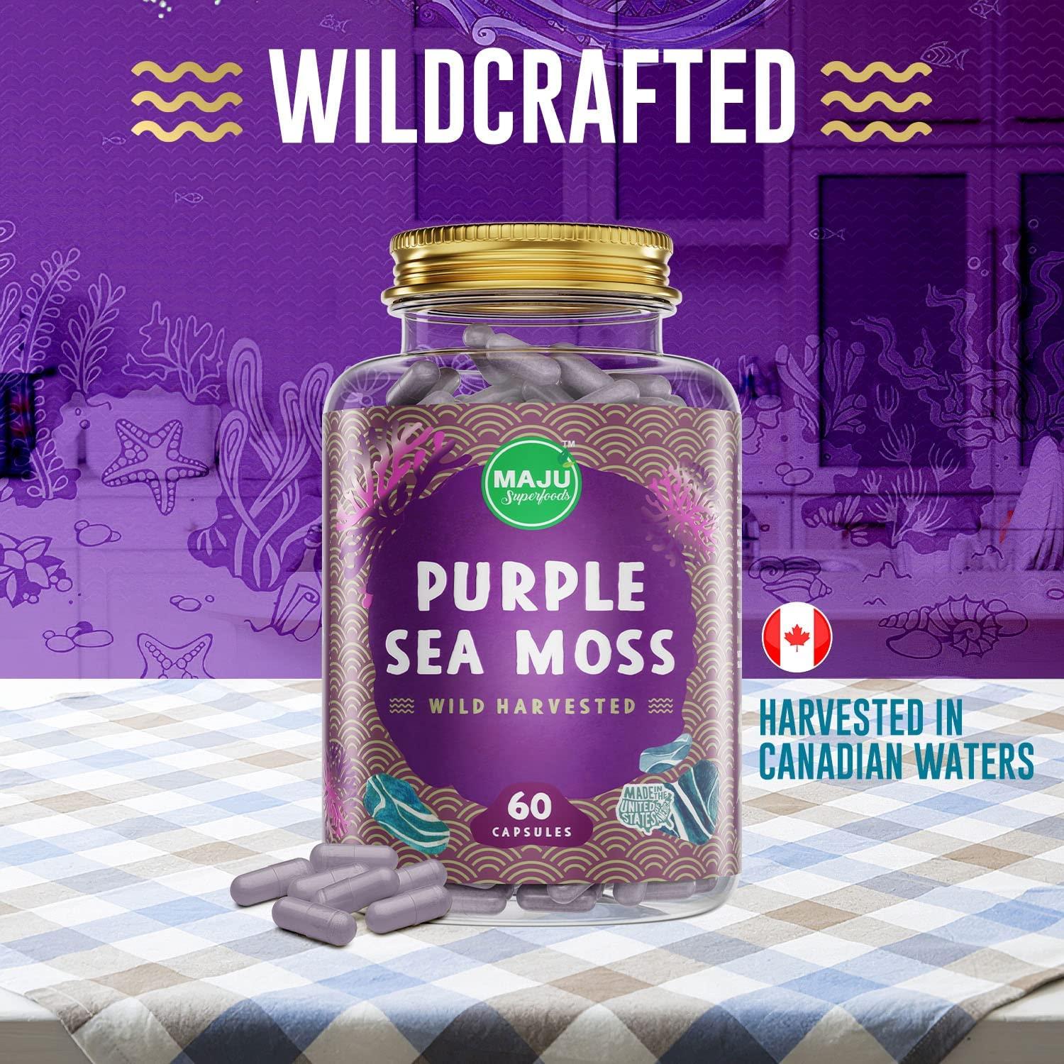 Maju Purple Sea Moss Capsules - Authentic Raw Chondrus Crispus | All ...