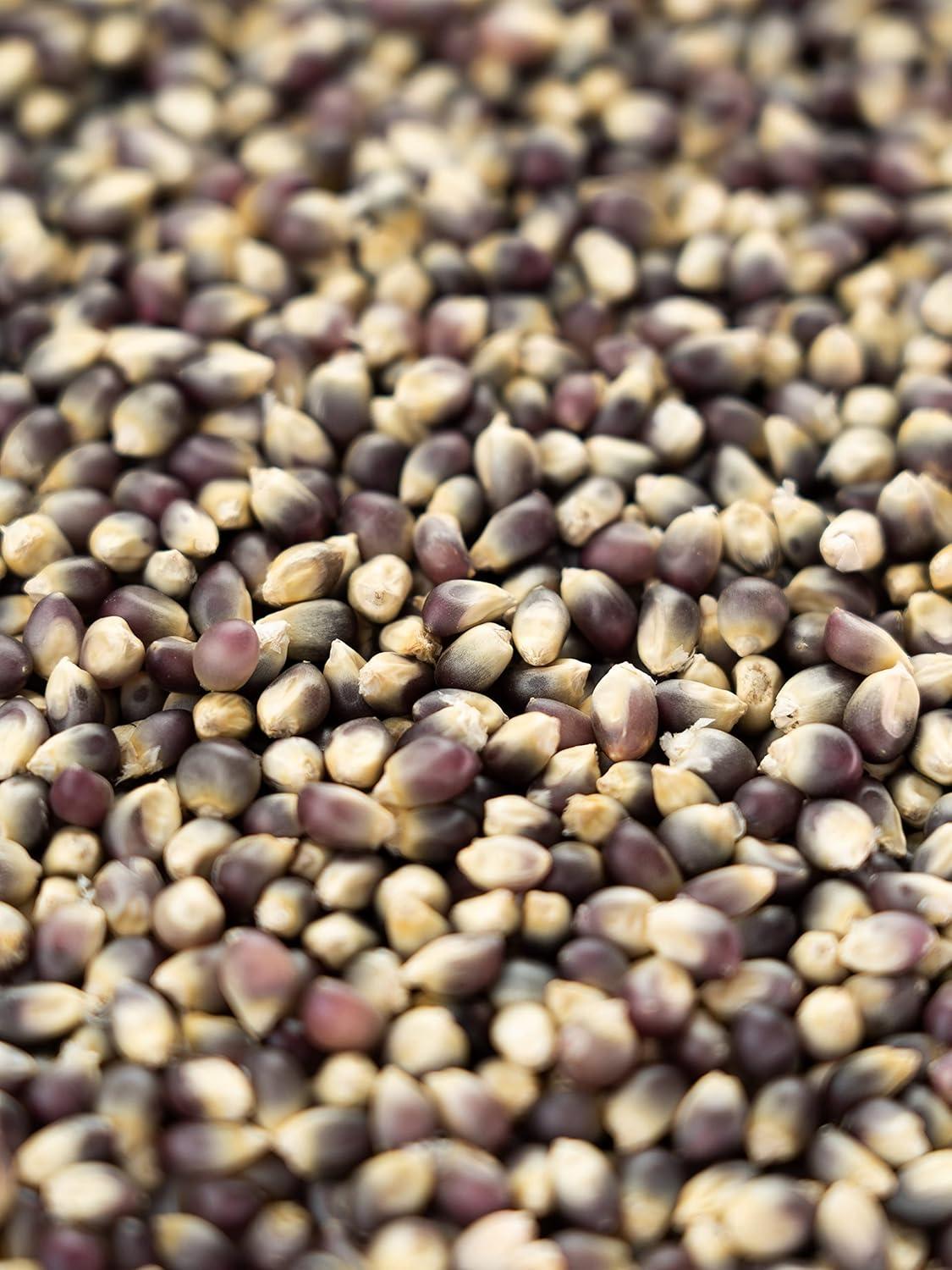 Biojoy Organic Diamond Blue Popcorn - 1 kg | Unsweetened & Unsalted ...