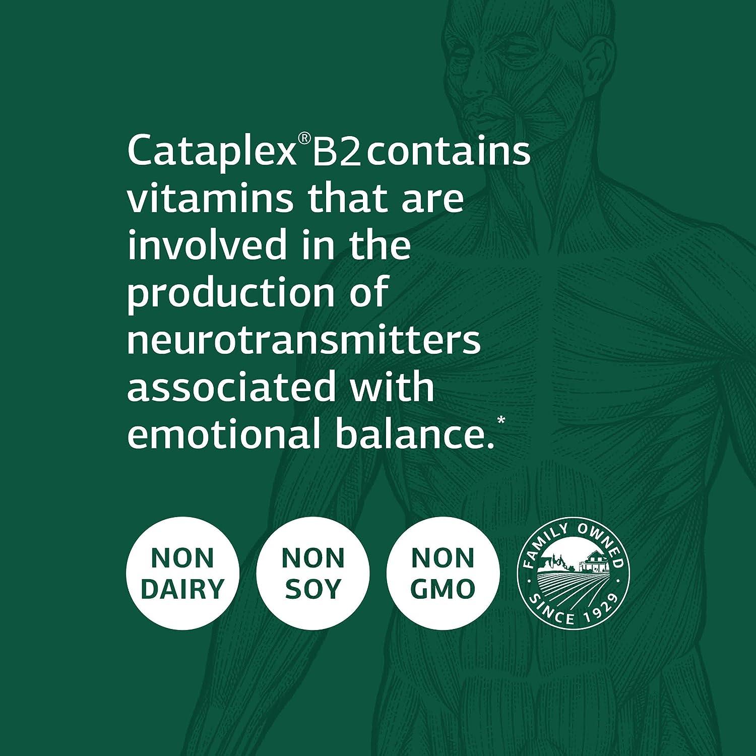 Standard Process Cataplex B2 - Whole Food Nervous System & Brain ...