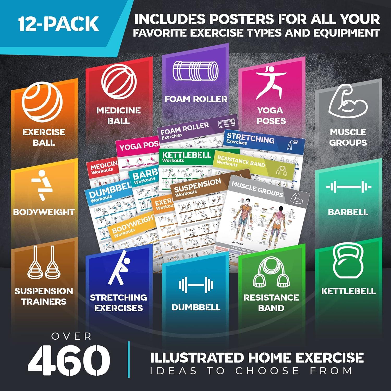 12-PACK Laminated Large Workout Poster Set - Perfect Workout Posters ...
