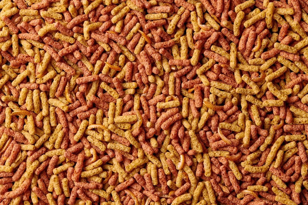 OASE Dynamix Super Mix 1 L Fish Food Daily Food for Pond Fish Balanced ...