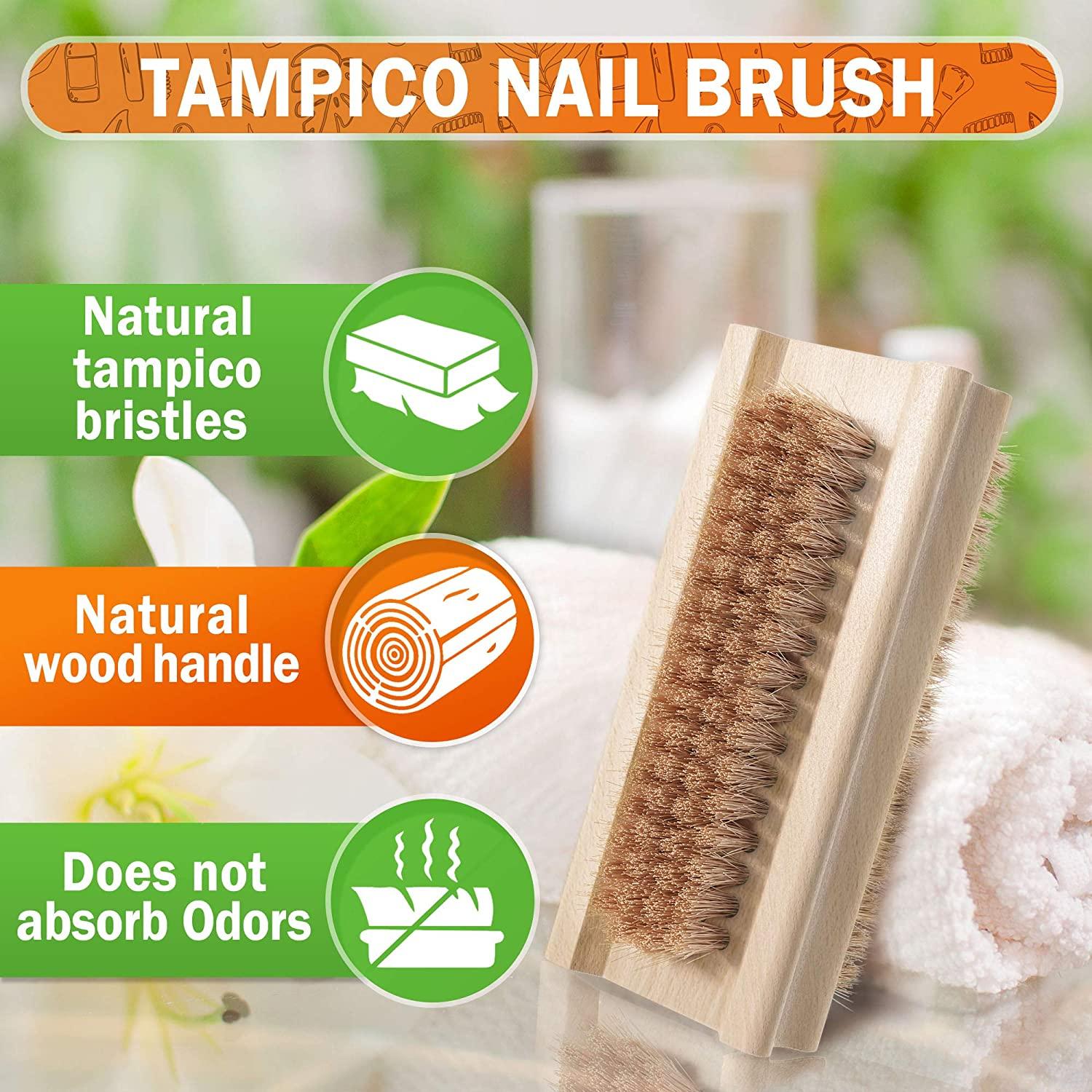 Konex Non-Slip Wooden Hand and Nail Brush with Tampico Fiber ...