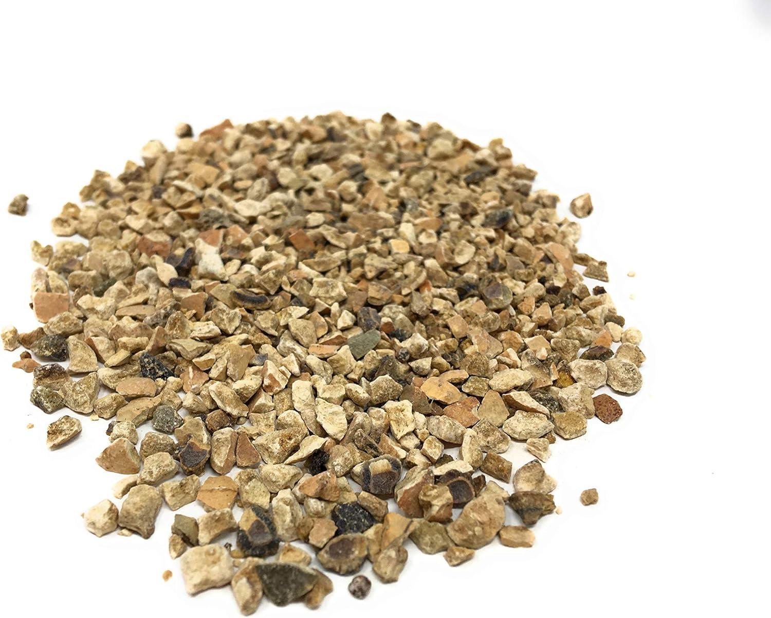 Cut Gall From Oak Trees - Natural Textile Dye - Dried Cut & Natural ...