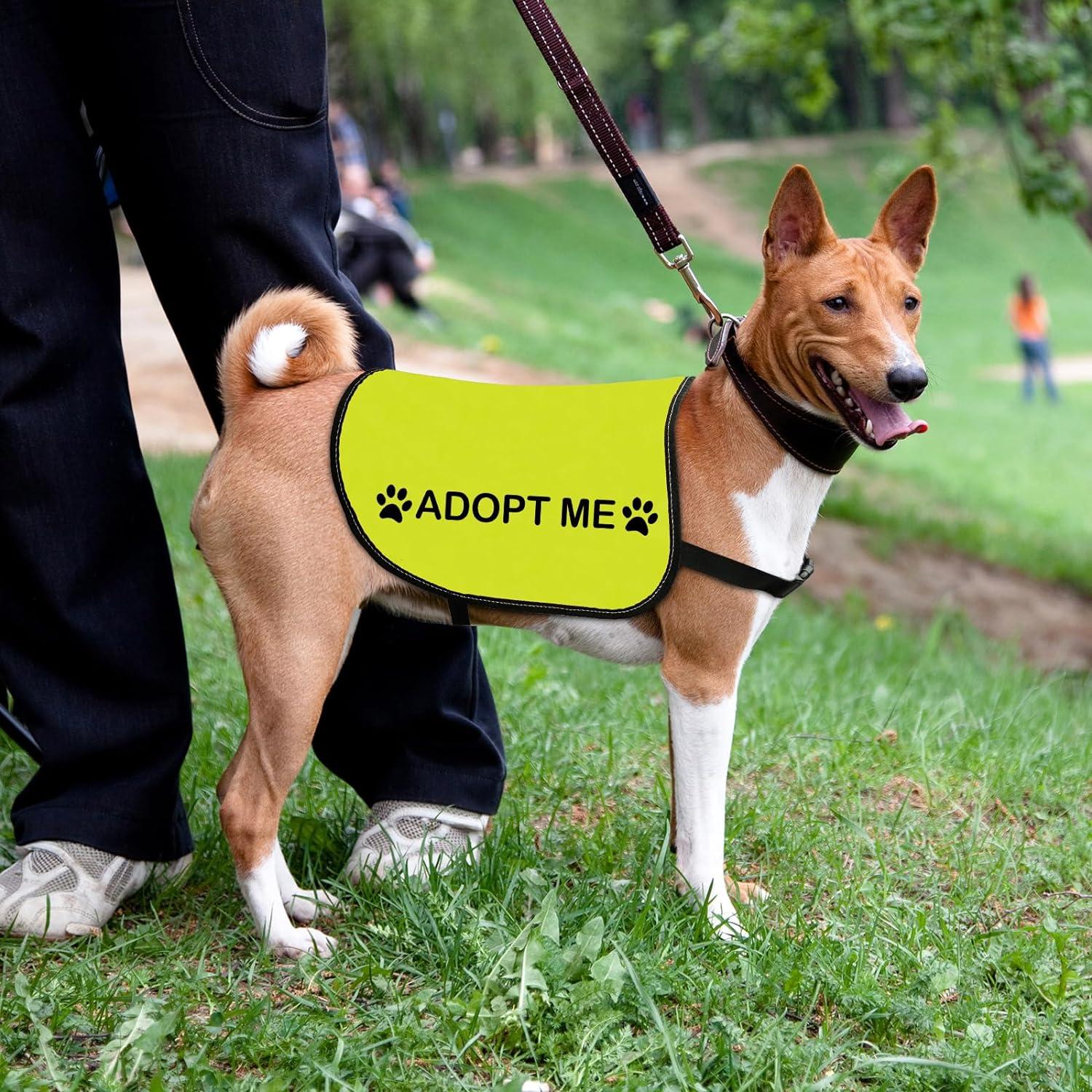 Rescue Dog Jacket Vest Adopt Me Dog Vest Foster Dog Slogan Vest (Adopt ...