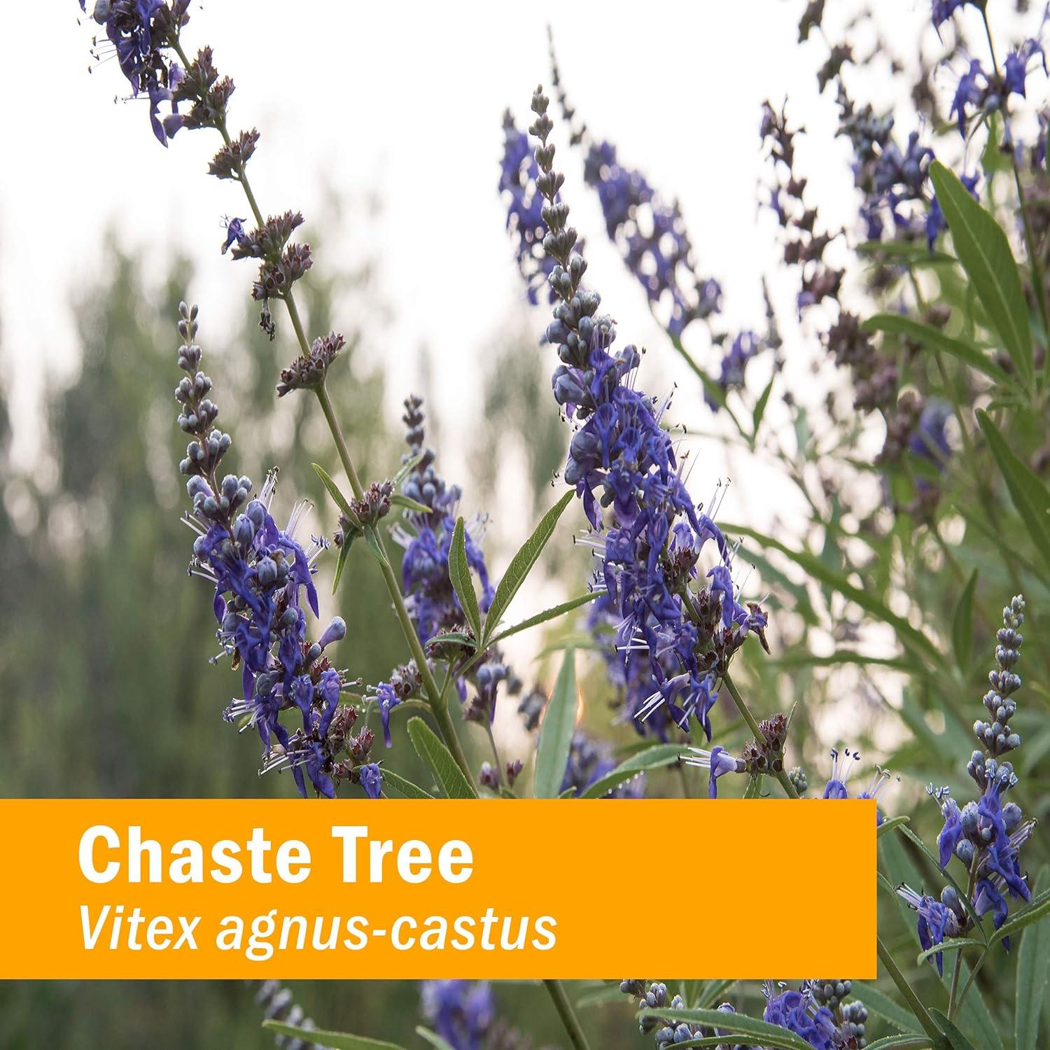 Herb Pharm Chaste Tree Liquid Extract - Female Reproductive System ...