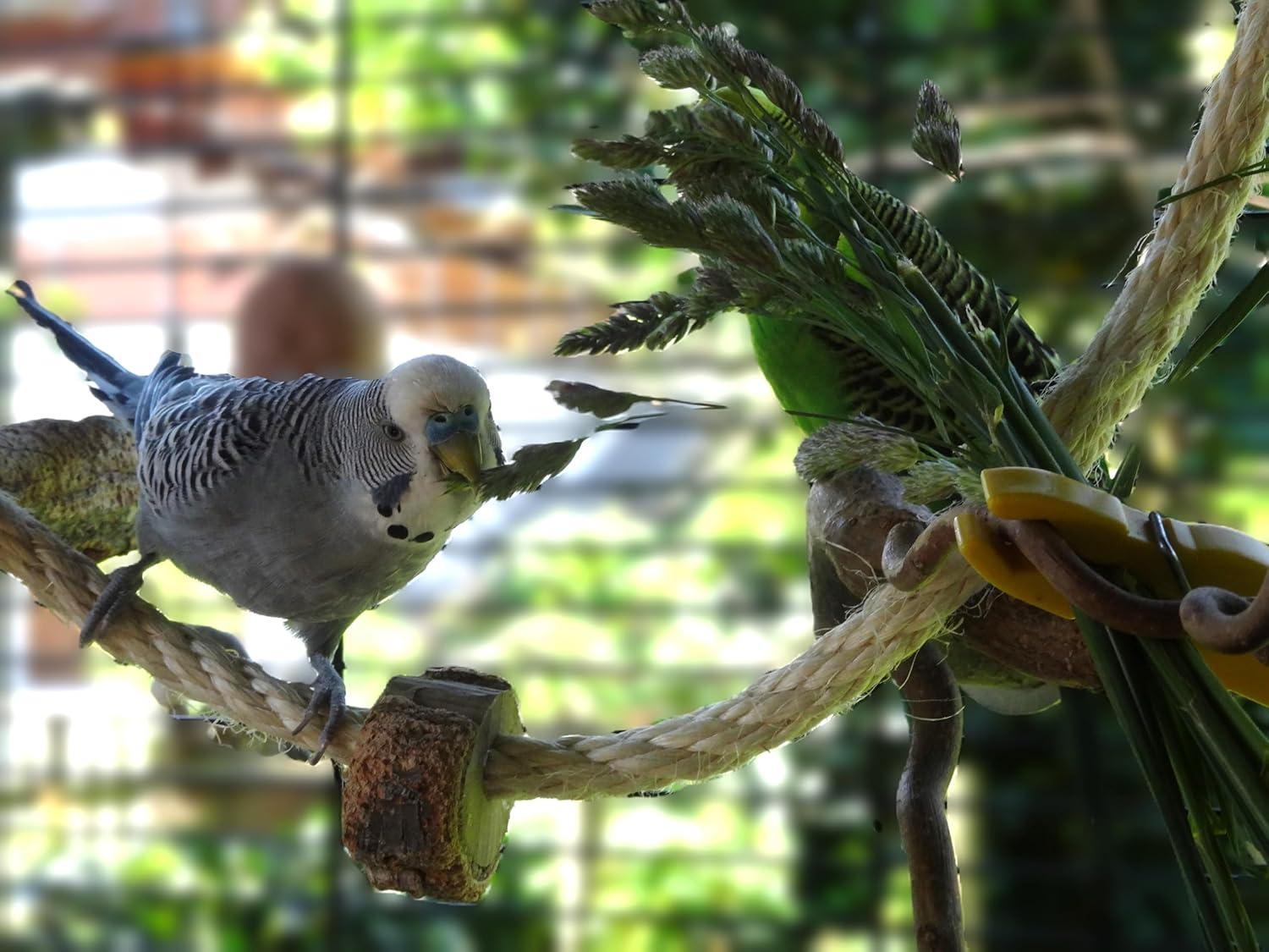 Natural Cork Climbing Rope for Birds - Eco-Friendly Bird Toys and ...