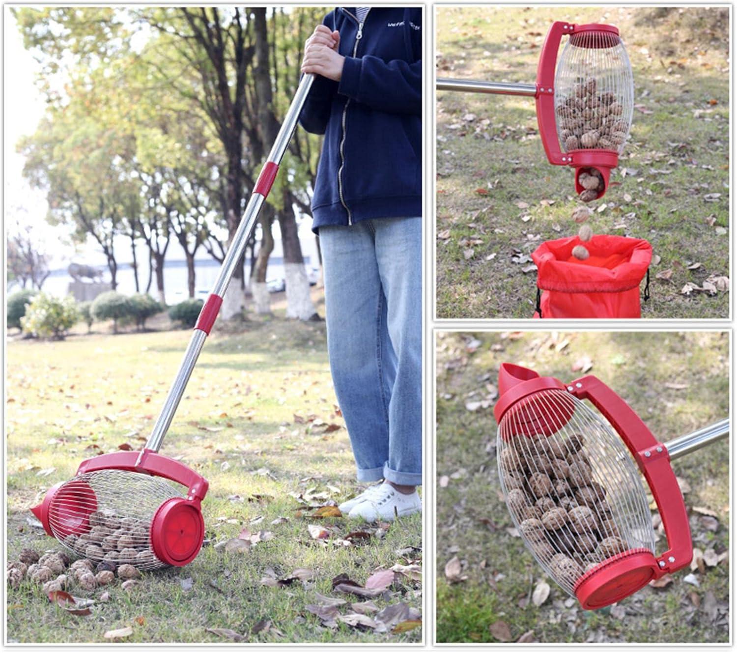 Buy Linsition Nuss Collector - Adjustable Nut Collector for Walnuts ...