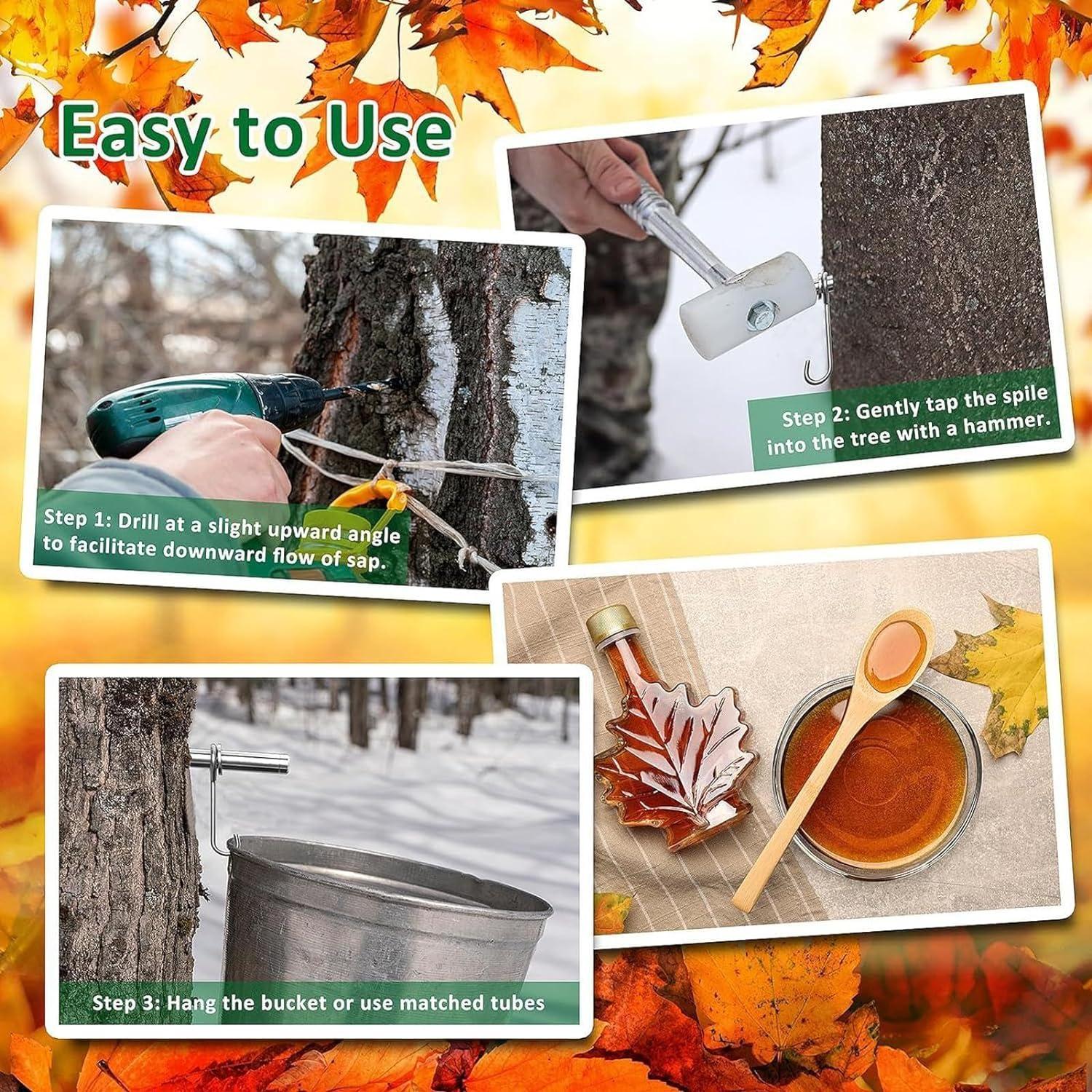 Premium Stainless Steel Maple Syrup Taps | Reusable Tree Water Taps for ...