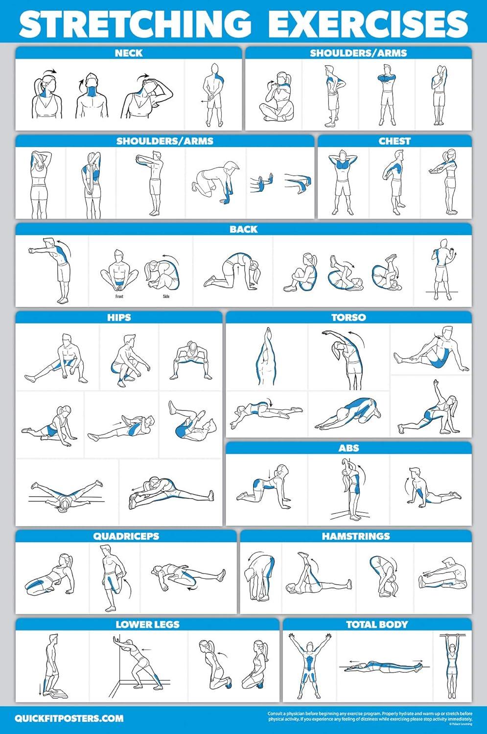 upper body stretch beginner