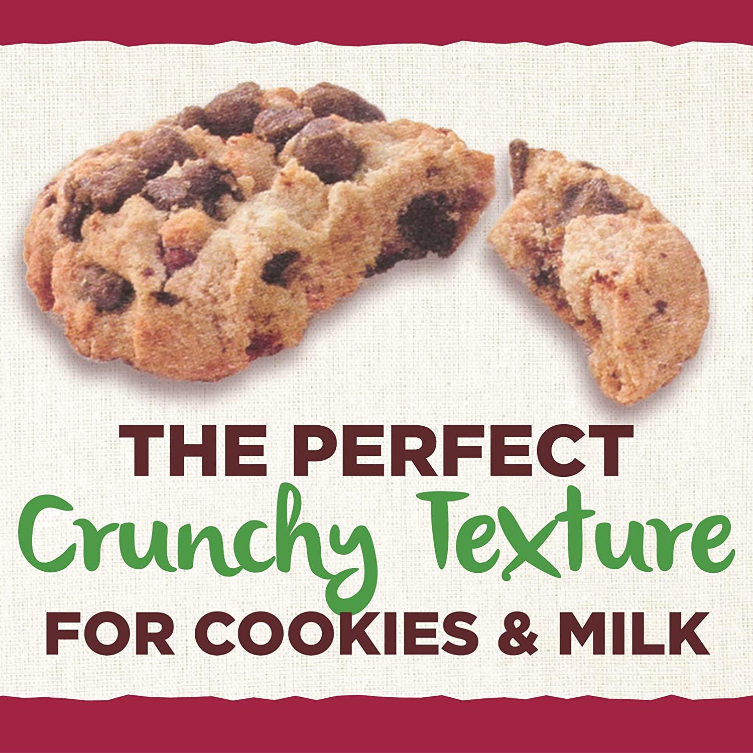 Back to Nature Non-GMO Chocolate Chunk Cookies - 9.5 Ounce | Delicious ...