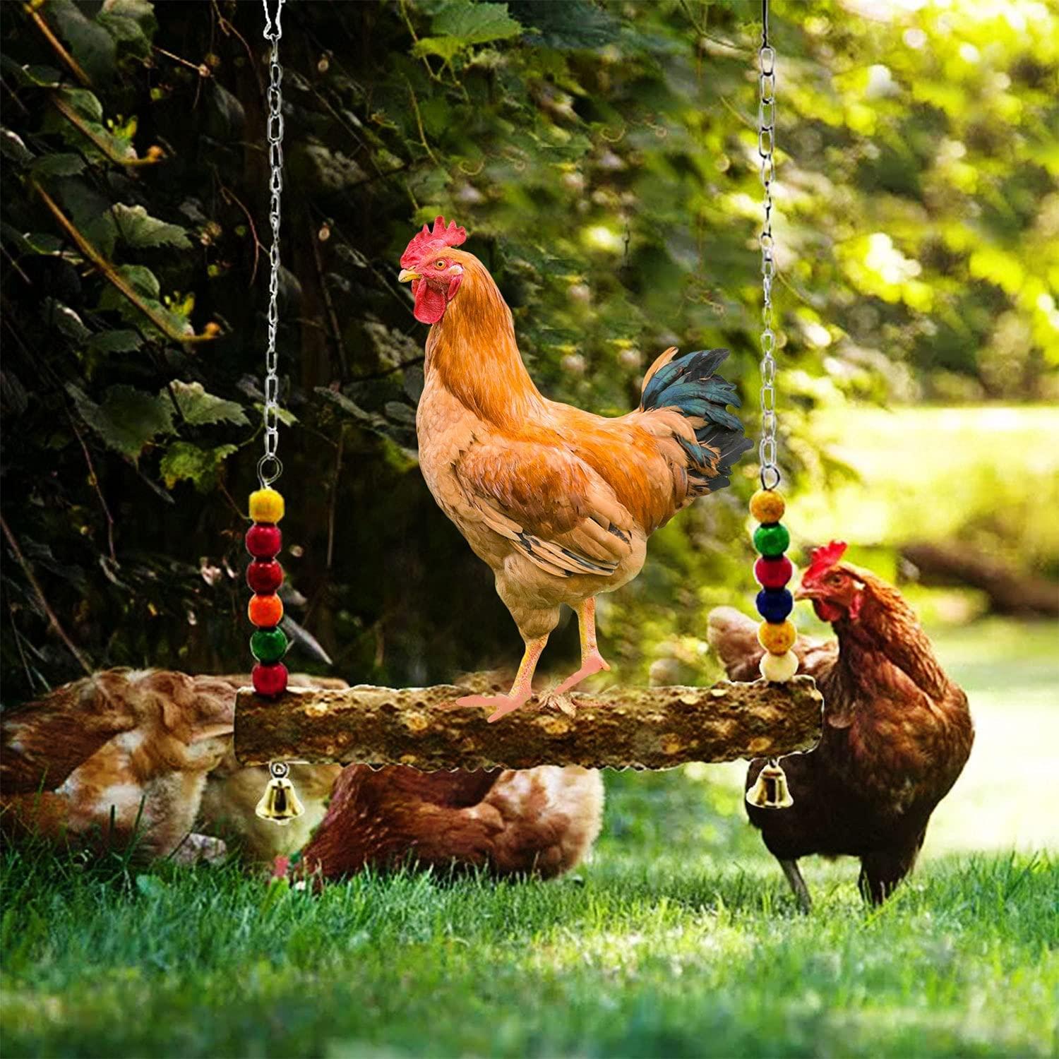 7-Pack Chicken Toys Set: Xylophone, Bridge Swing, Mirror, Pecking Toys ...